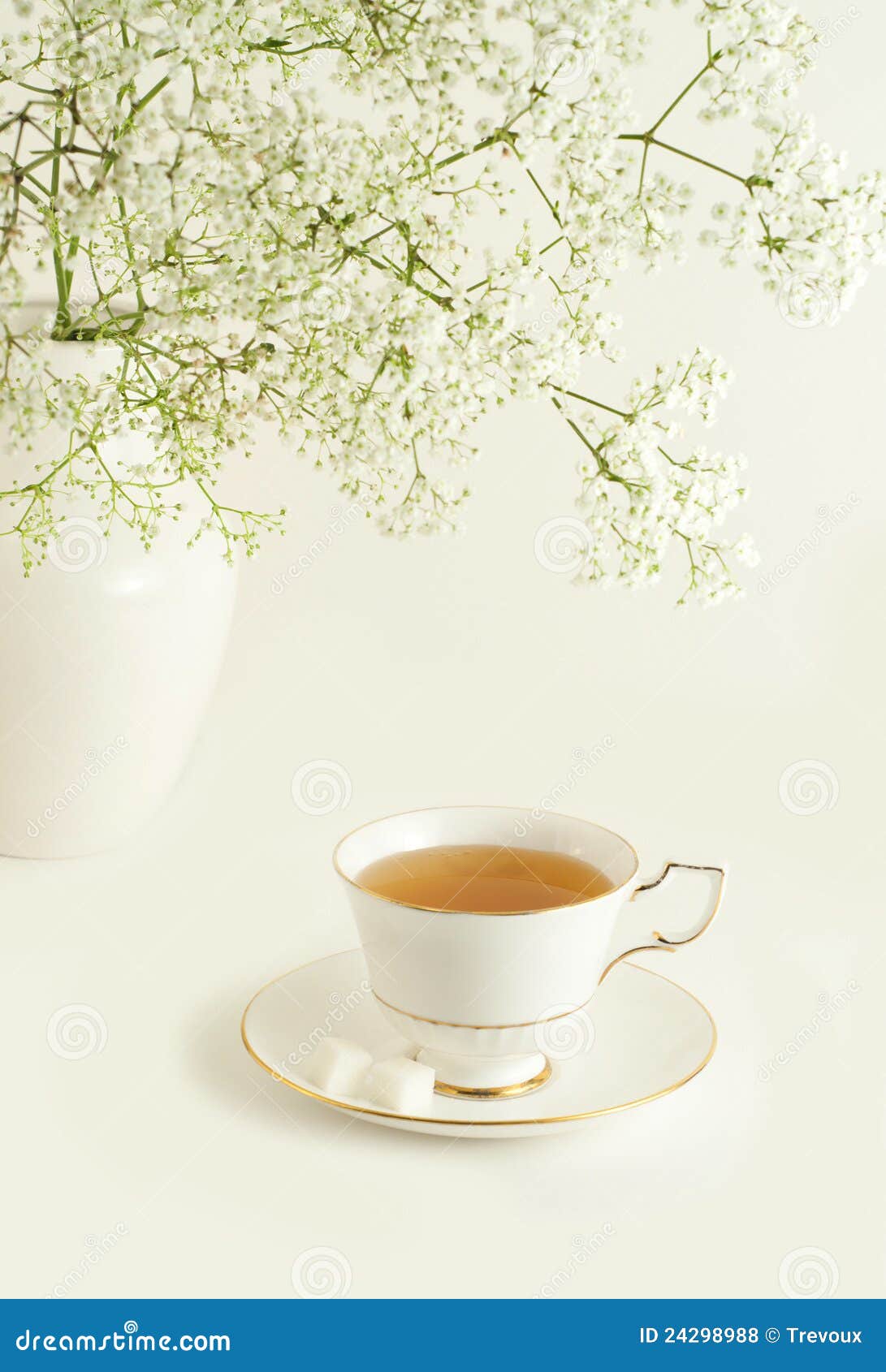 Cup of Green Tea on White Background. Stock Photo - Image of background ...