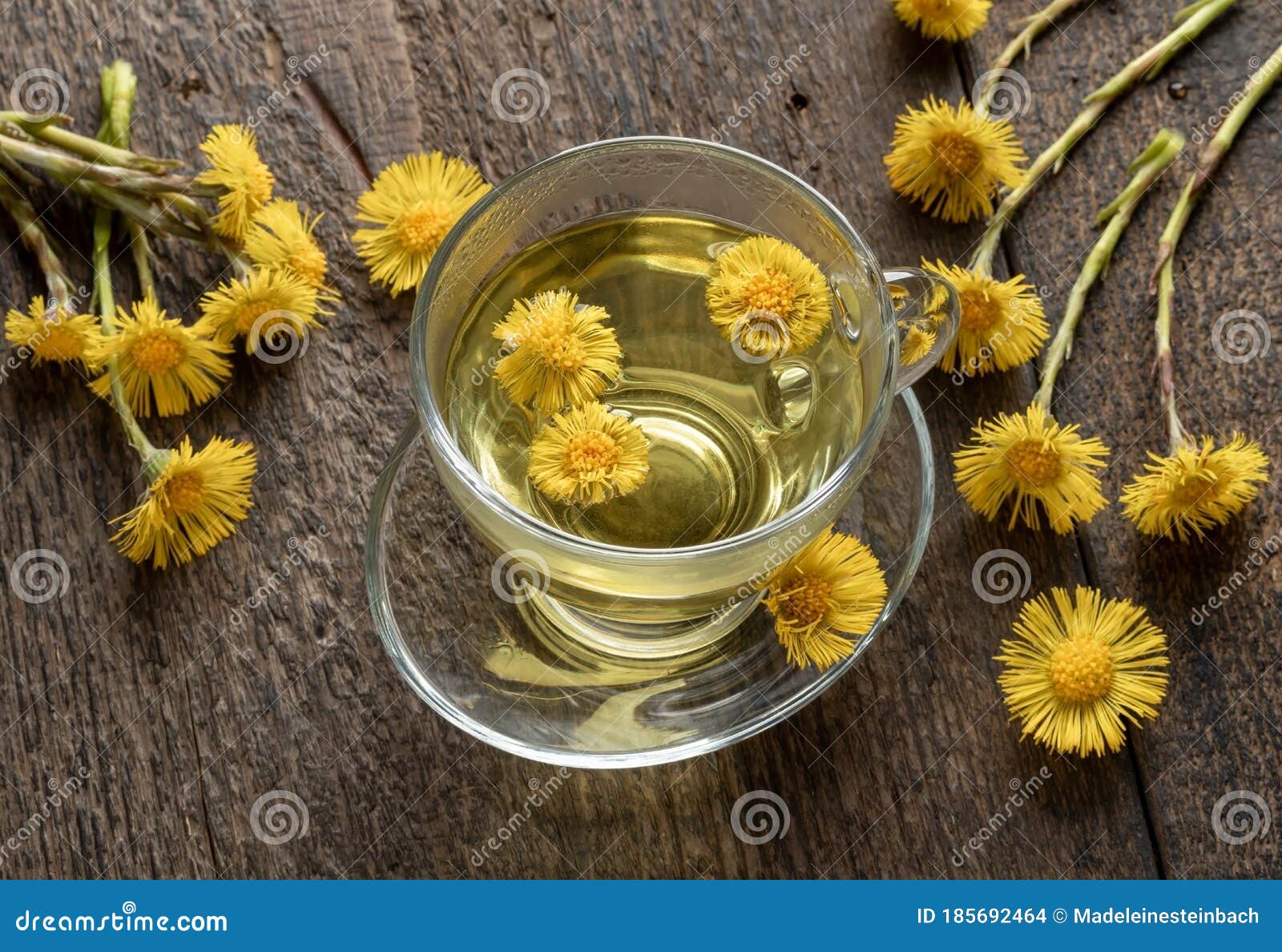 A Cup of Herbal Tea with Fresh Coltsfoot Plant Stock Photo - Image of ...