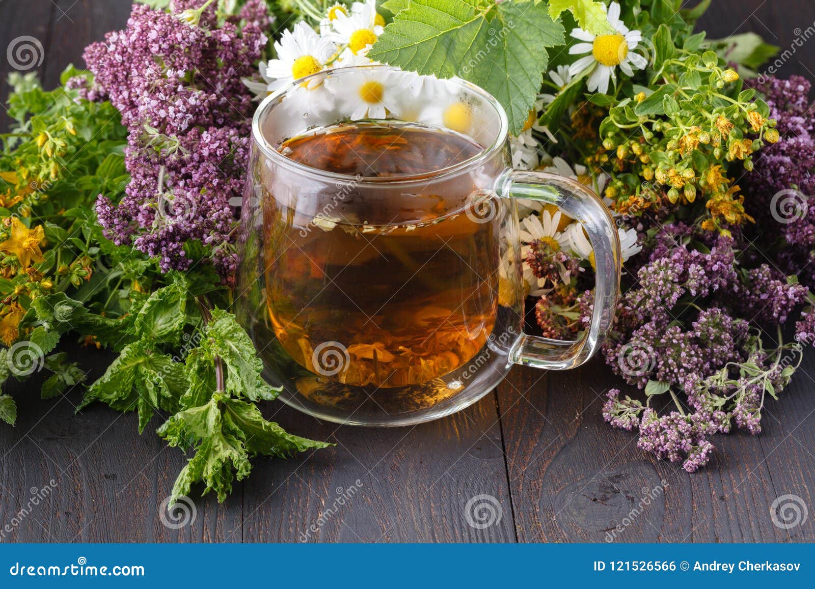 Cup of Herbal Tea with Fresh Herbs Stock Photo - Image of liquid ...