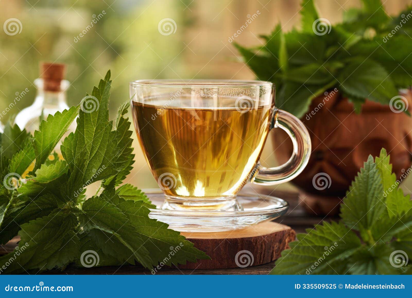 A Cup of Herbal Tea with Fresh Nettles on a Table Outdoors in Nature ...