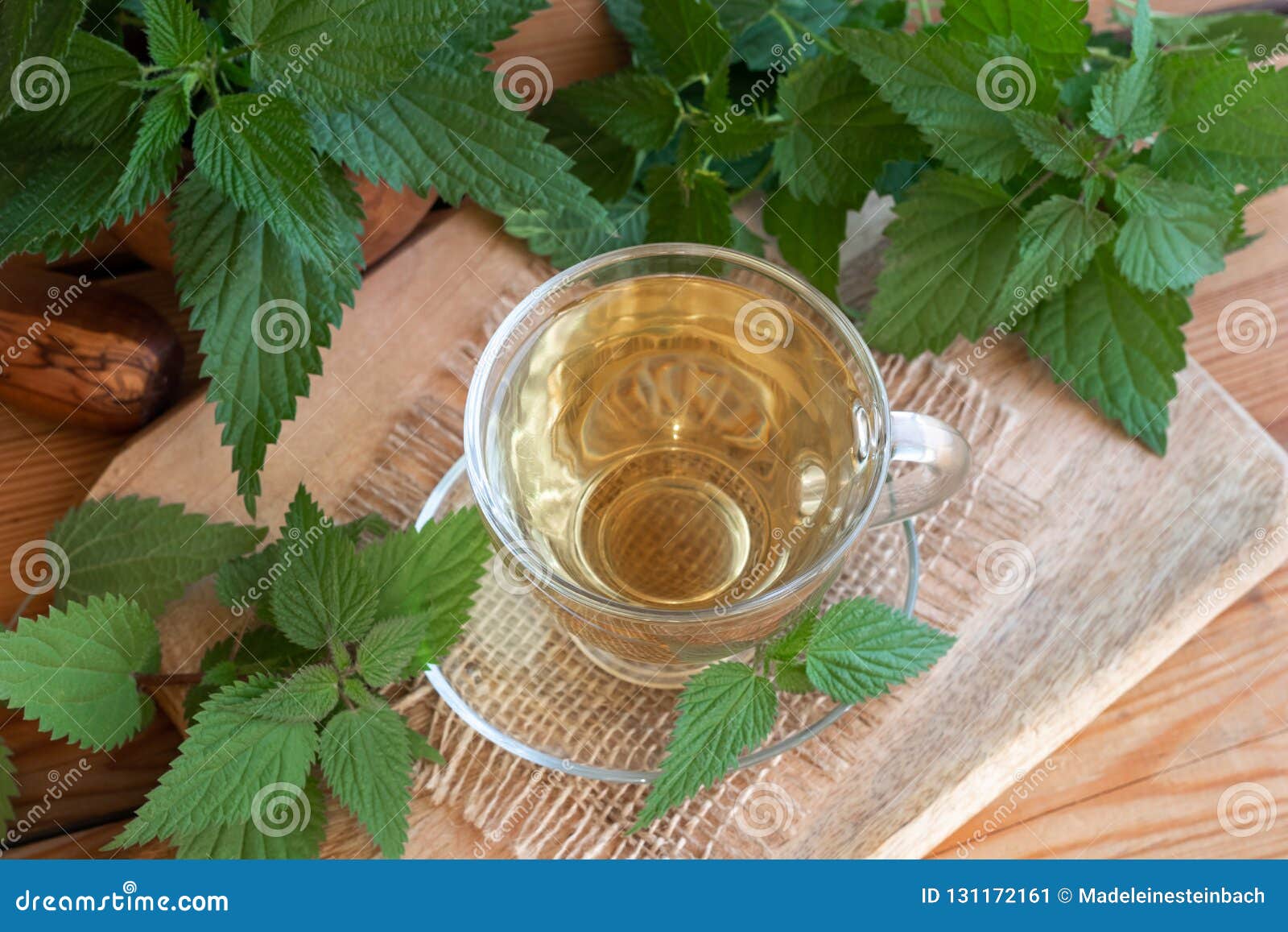 A Cup of Nettle Tea with Fresh Stinging Nettles Stock Image - Image of ...