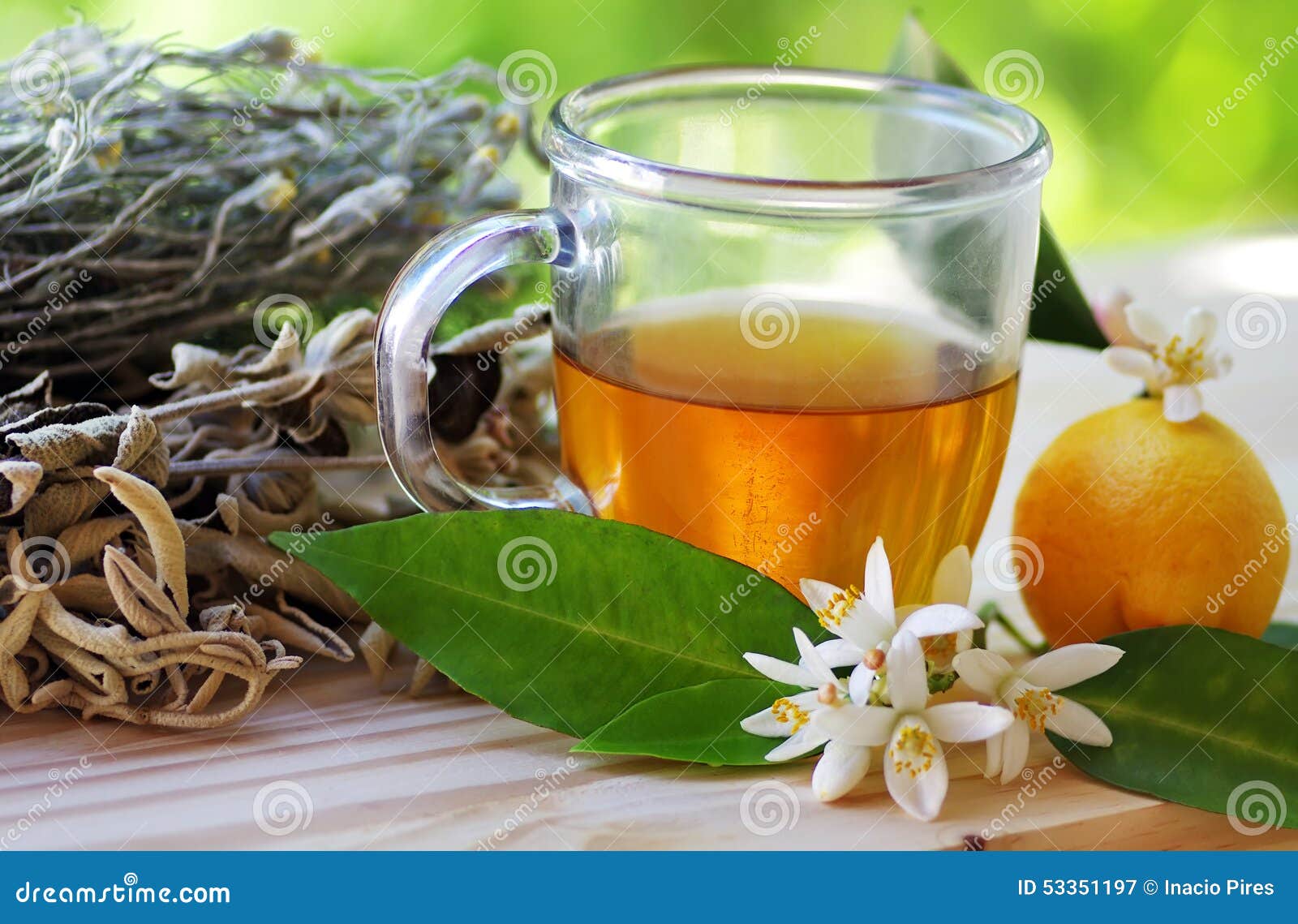 Cup of Herbal Tea and Lemon Stock Image - Image of clean, leaf: 53351197