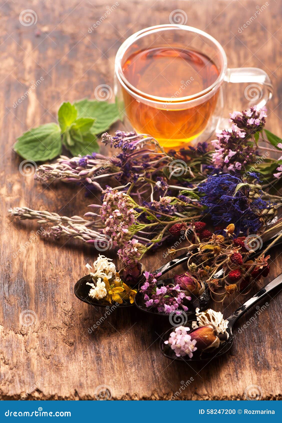 Cup of Herbal Tea with Wild Flowers and Various Herbs Stock Photo ...