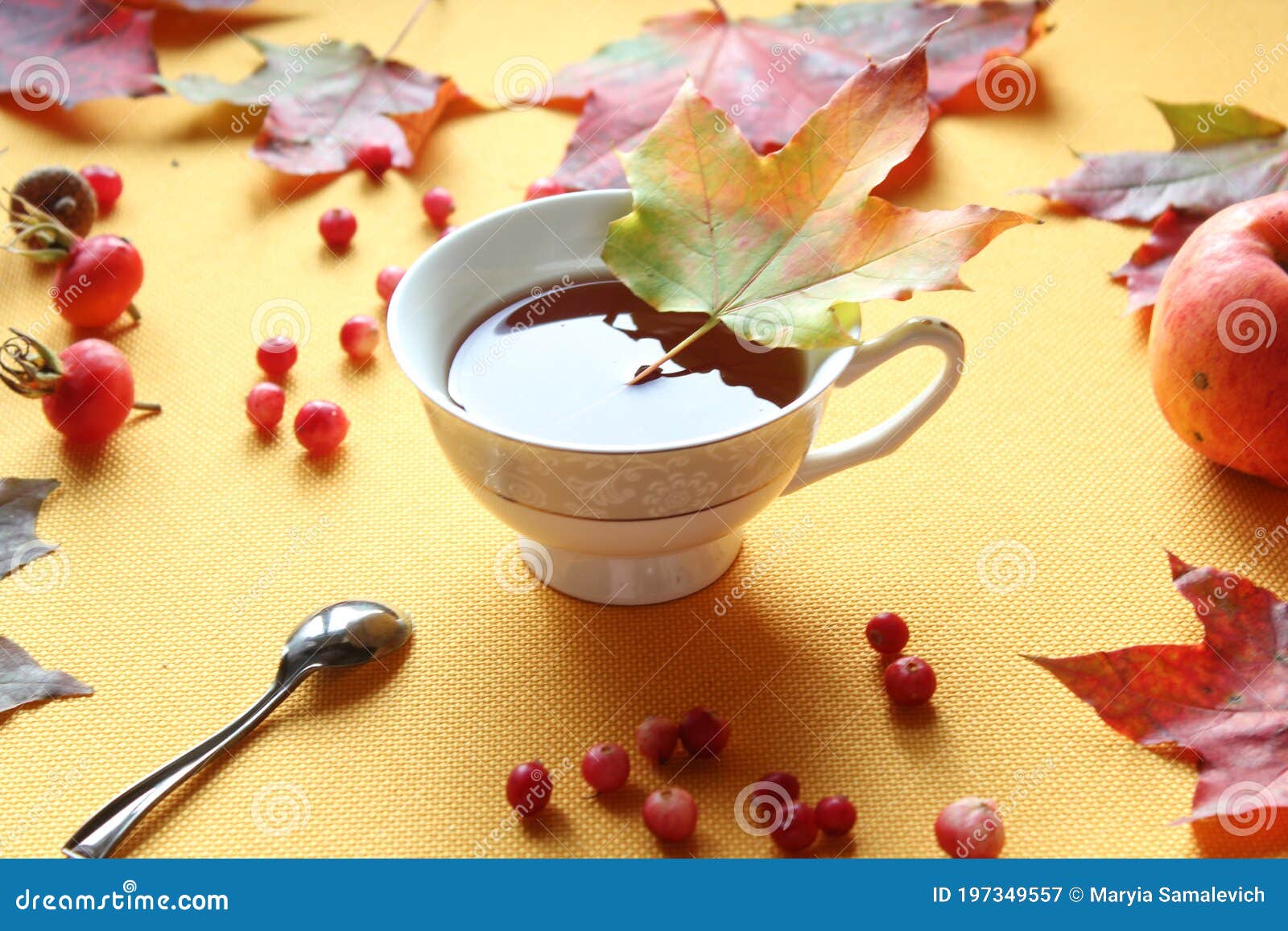 A Cup of Hot Tea with a Maple Leaf on the Background of Cranberries and ...