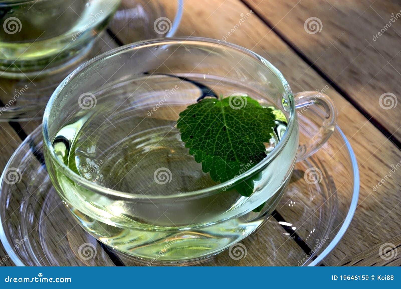 Cup of lemon balm tea stock image. Image of delicious - 19646159