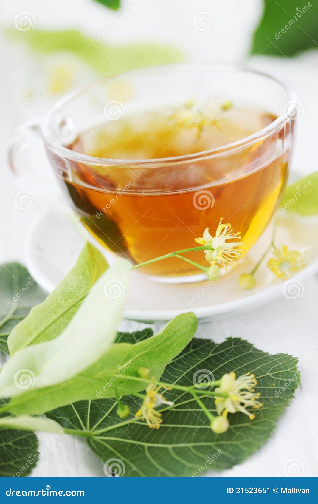 Cup of lime tea stock image. Image of healthcare, culture - 31523651