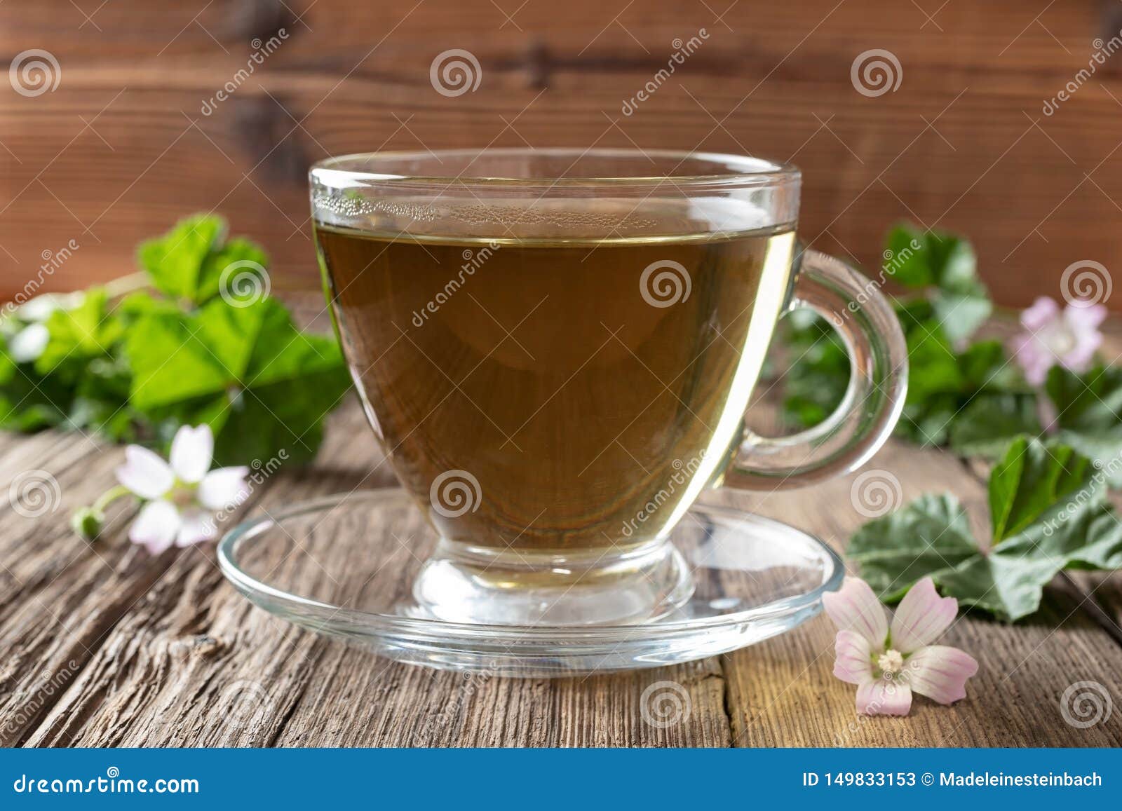 A Cup of Mallow Tea with Fresh Dwarf Mallow Plant Stock Image - Image ...