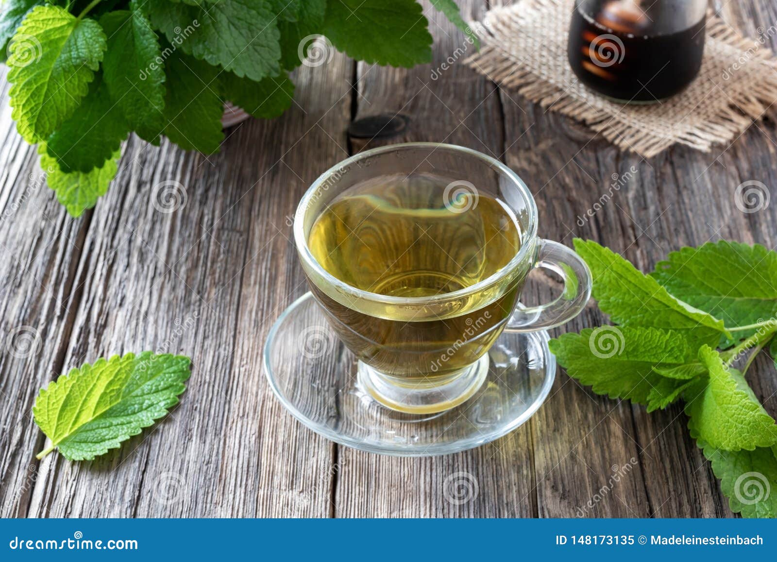 A Cup of Melissa Tea with Fresh Melissa Twigs Stock Image - Image of ...