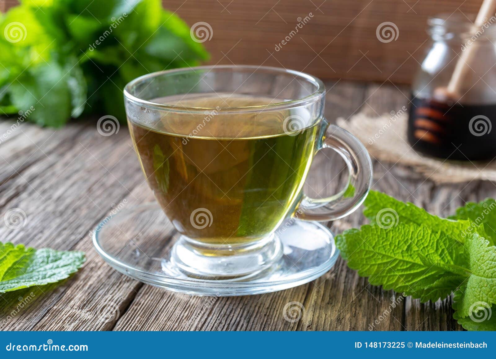 A Cup of Melissa Tea with Fresh Melissa Twigs Stock Image - Image of ...