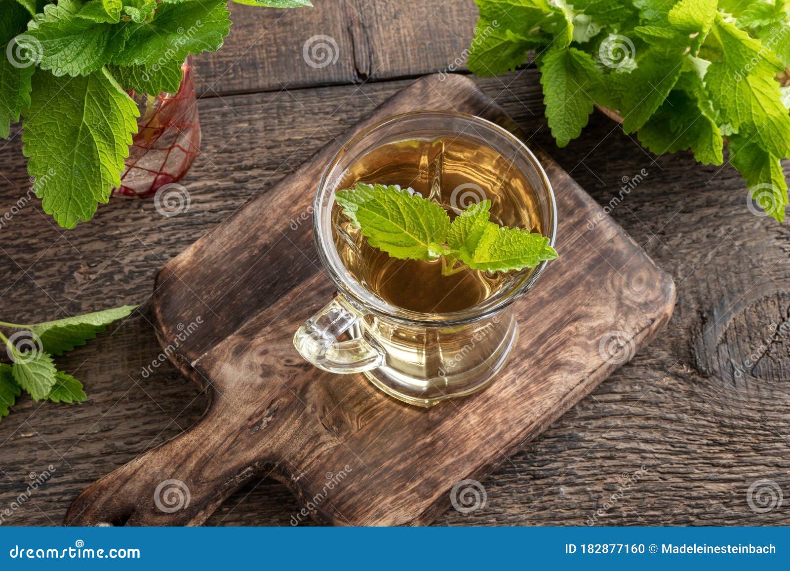 A Cup of Melissa Tea with Fresh Melissa Twigs Stock Photo - Image of ...