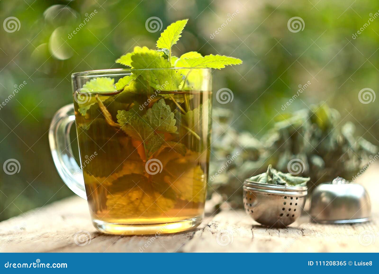 Cup of melissa tea stock image. Image of aromatherapy - 111208365