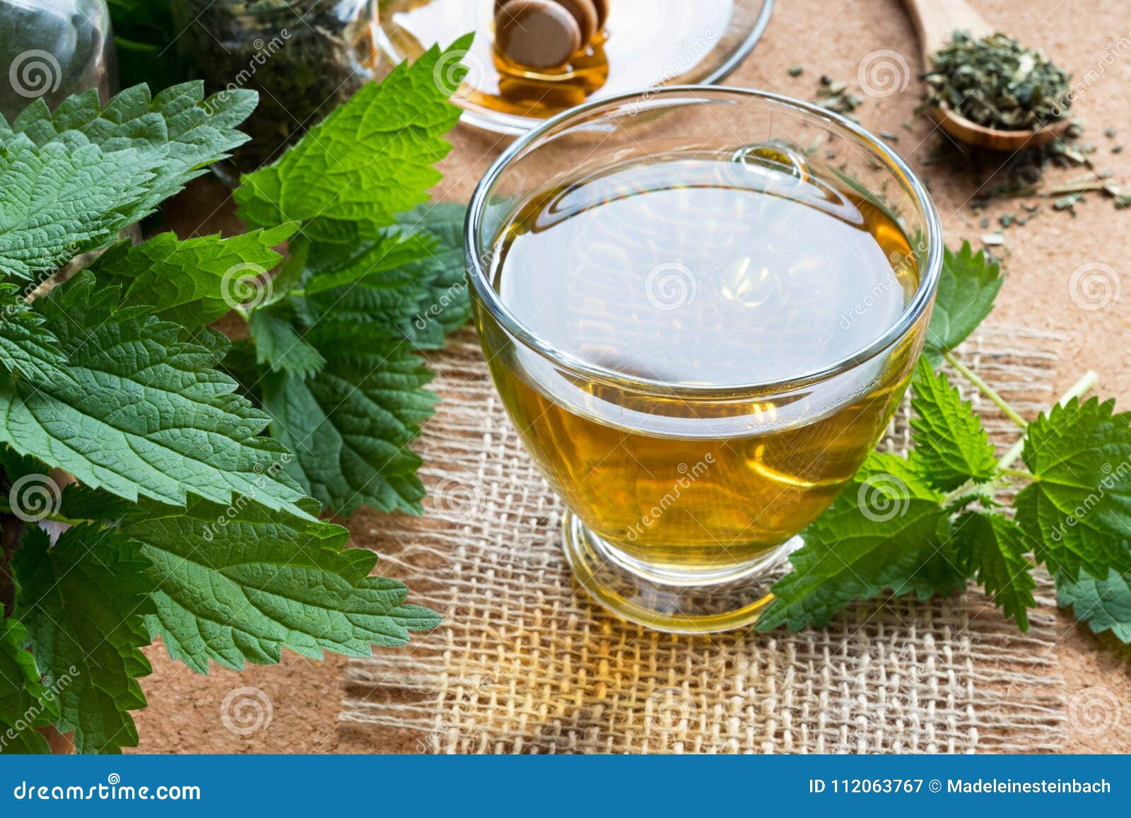 A Cup of Nettle Tea with Fresh Nettles Stock Image - Image of nature ...