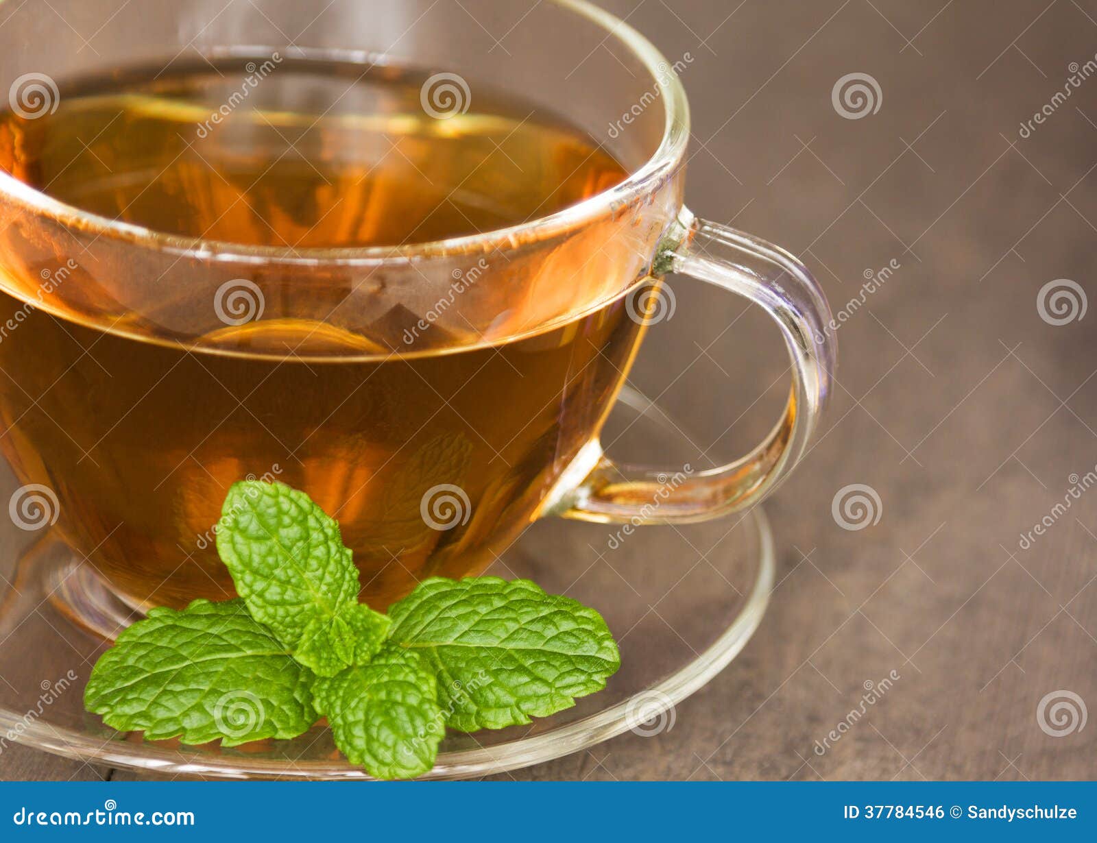 A cup of peppermint tea stock photo. Image of warm, healthy - 37784546
