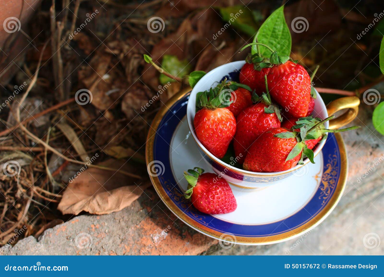 Cup of strawberries stock photo. Image of healthy, diet - 50157672