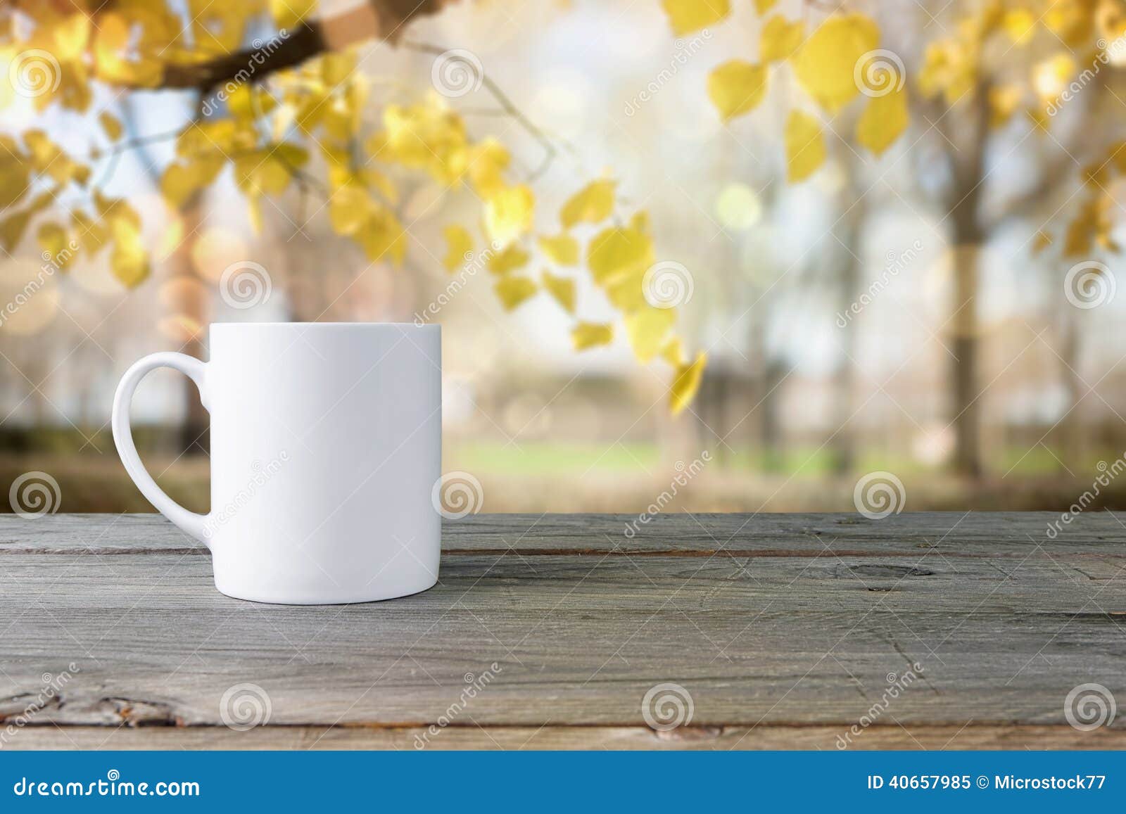 Cup on table stock image. Image of nutrition, fall, natural - 40657985