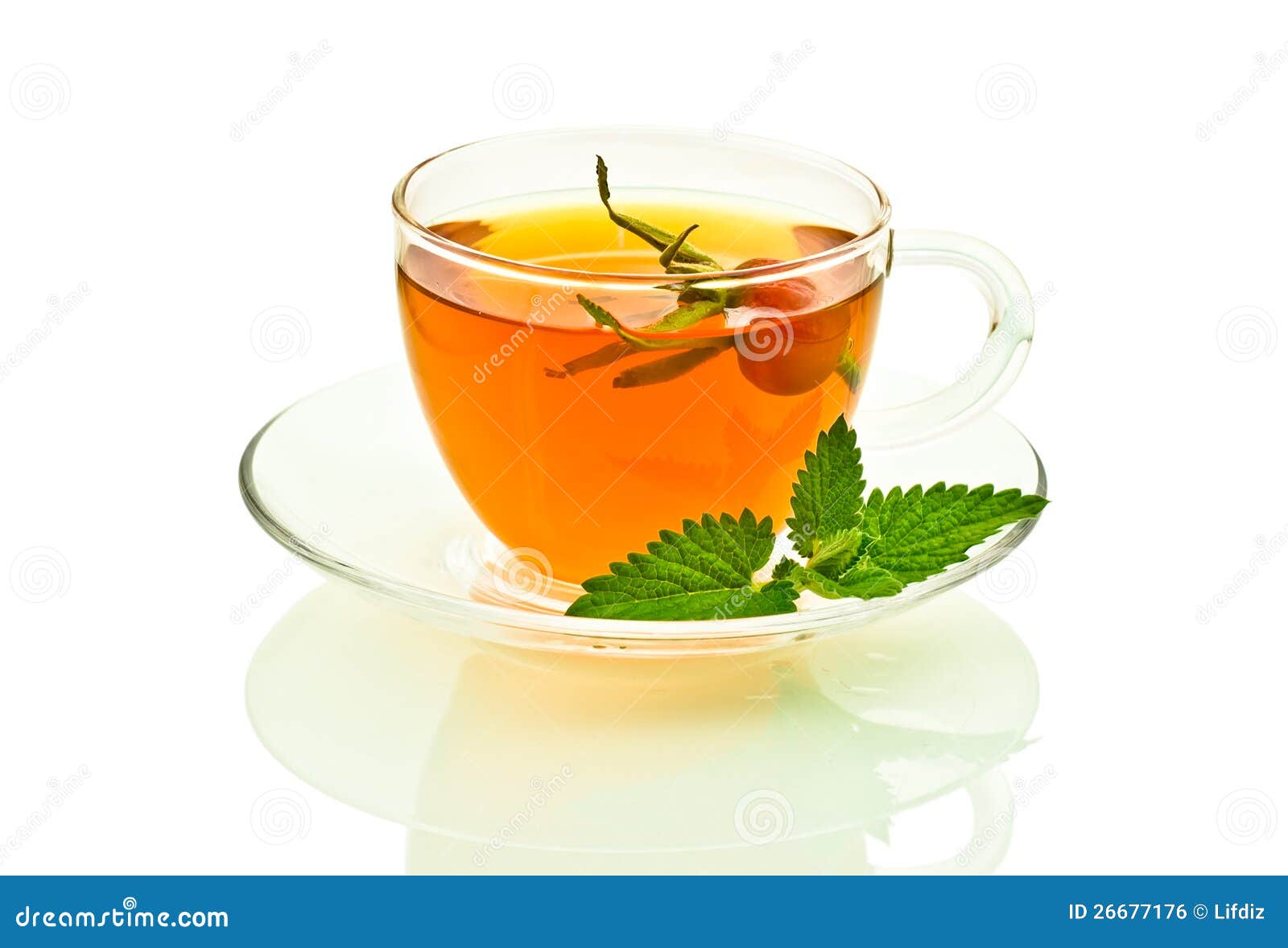 Cup of tea stock photo. Image of aroma, mint, leaf, concept - 26677176