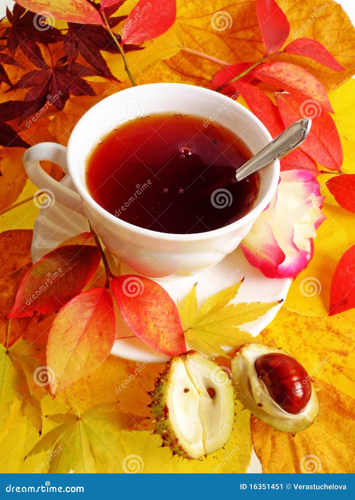 Cup of Tea Autumn Still Life Stock Image - Image of afternoon, herbal ...