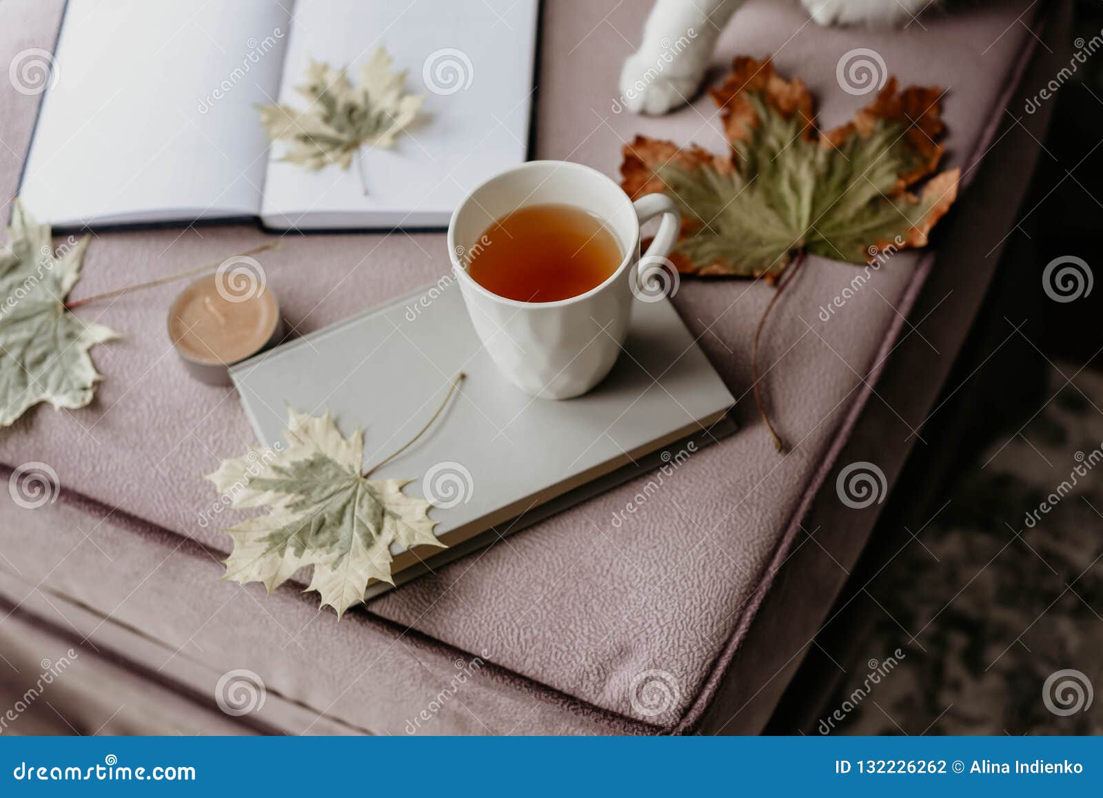 Cup of Tea with a Book in the Interior with Autumn Leaf, Notebook and ...