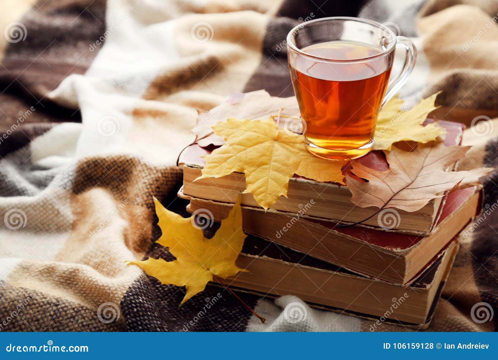 Cup of tea with books stock photo. Image of dishware - 106159128
