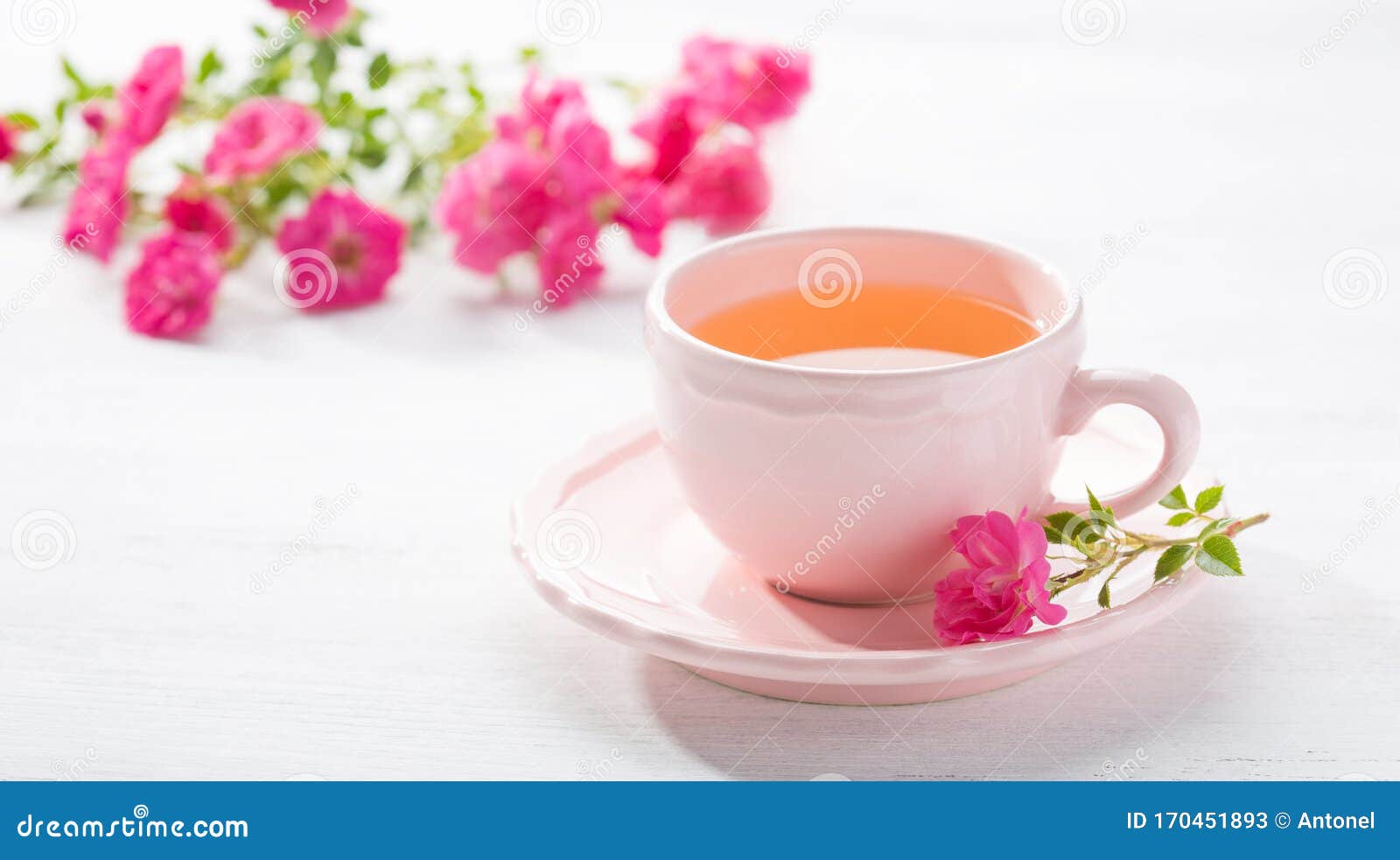 2,579 Pink Roses Tea Cup Stock Photos - Free & Royalty-Free Stock ...