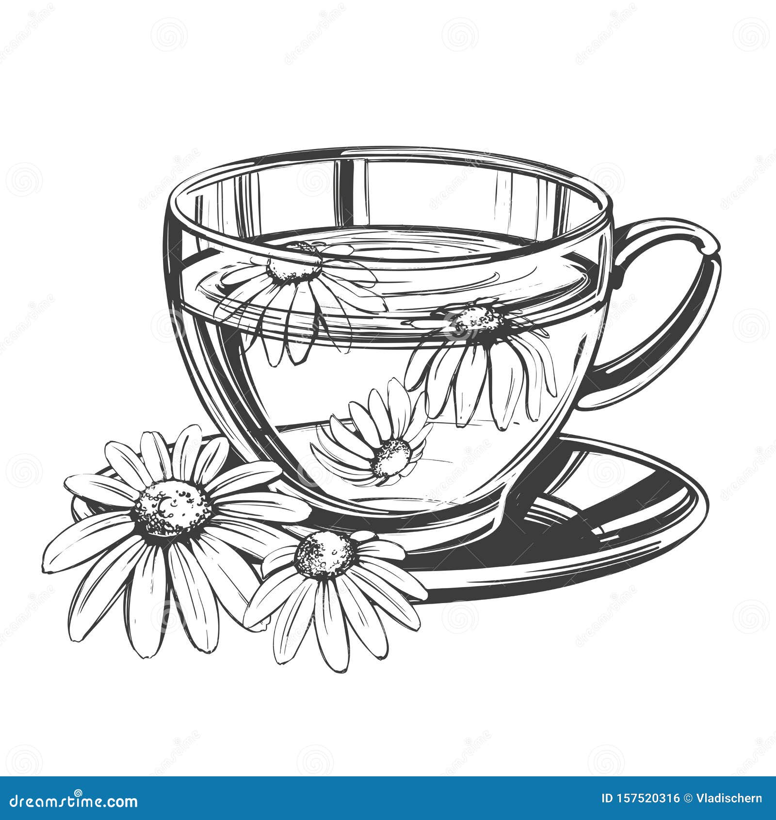 Cup Of Tea With Chamomile Isolated On White Background Hand Drawn ...