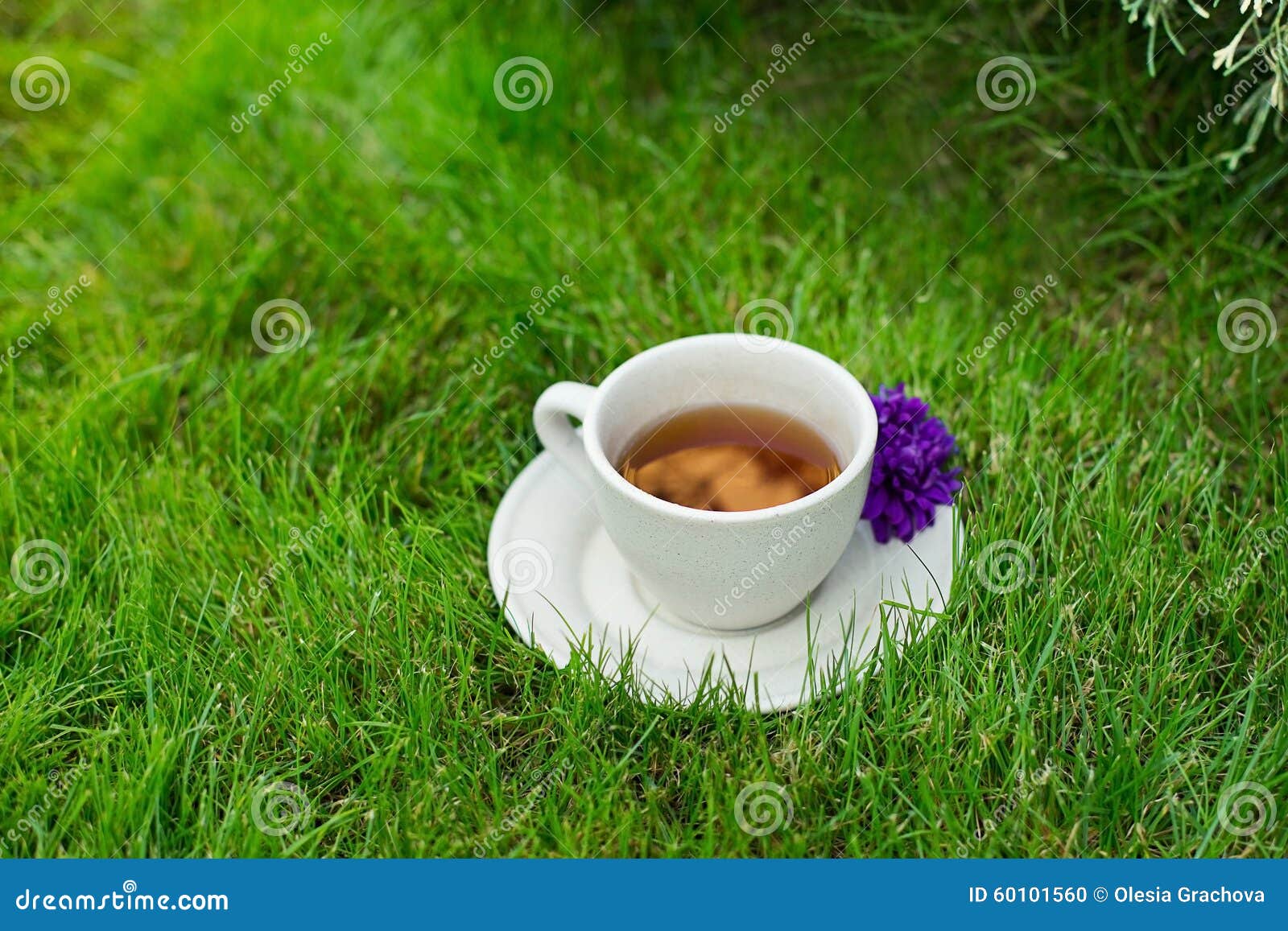 Cup of Tea or Coffee on Fresh Green Grass with Flower Stock Photo ...