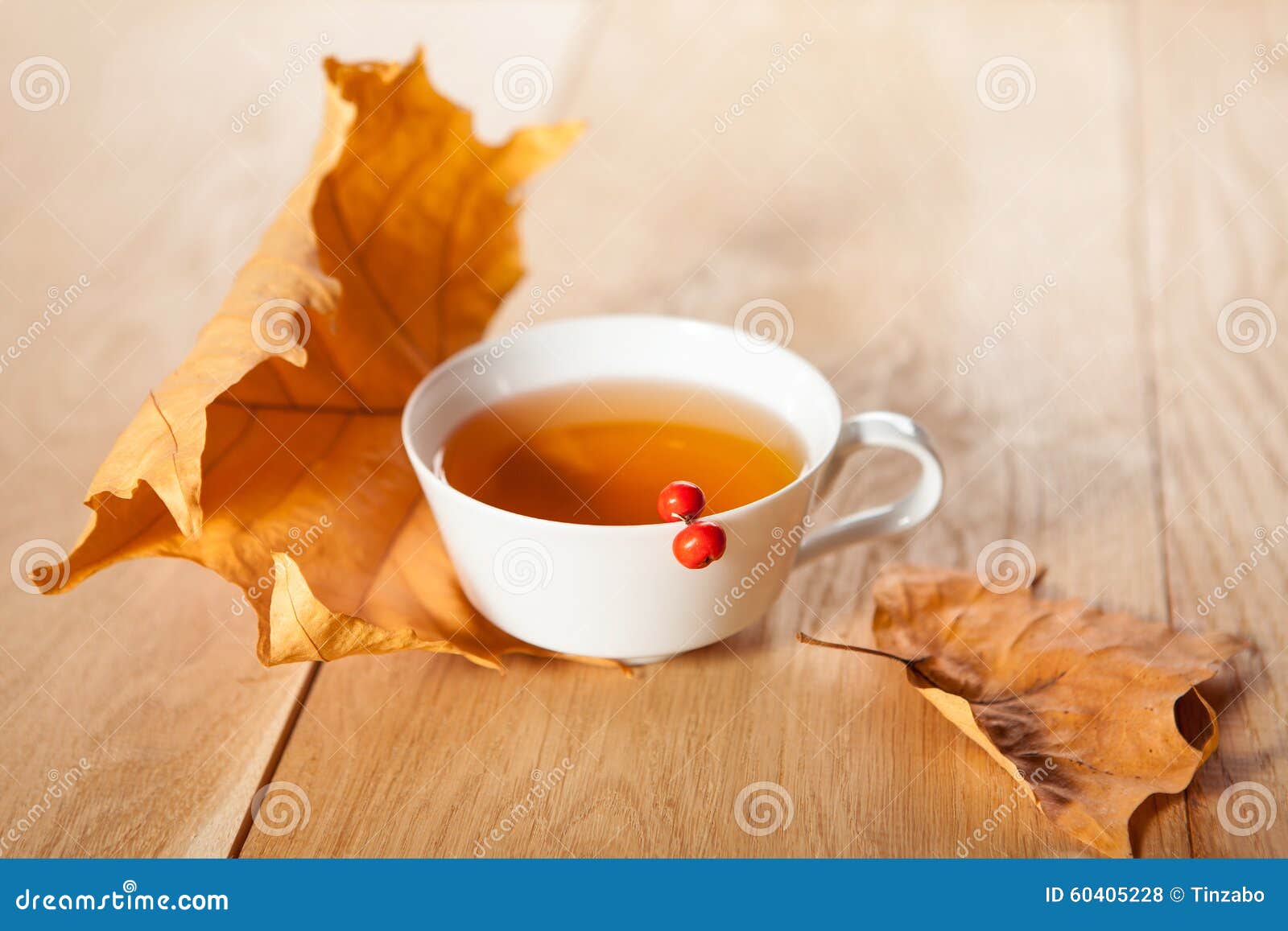 A Cup of Tea with Falling Autumn Leaves of Maple on the Background of ...