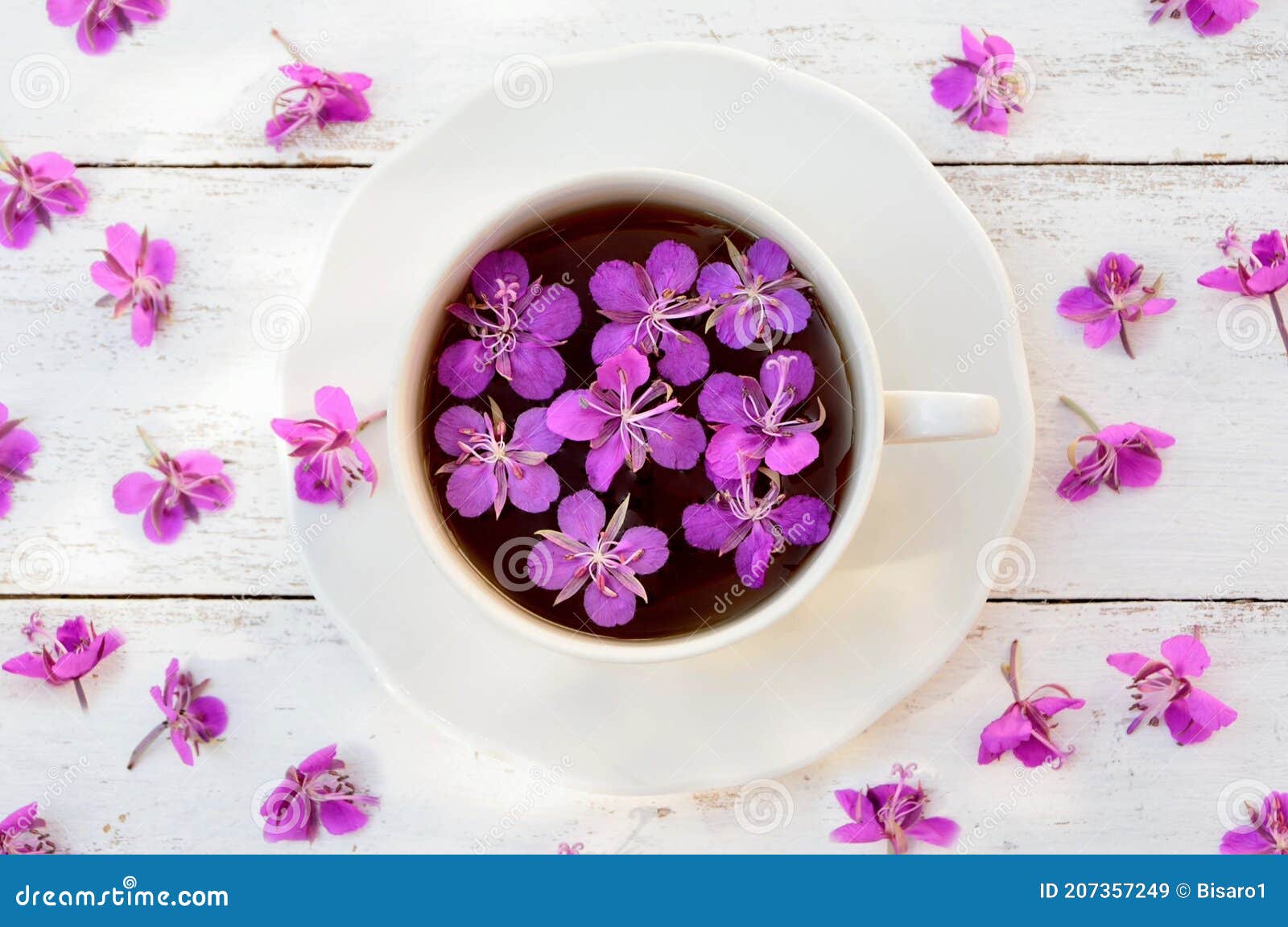 Therapeutic Fireweed Tea,fresh Willow Herb Royalty-Free Stock ...