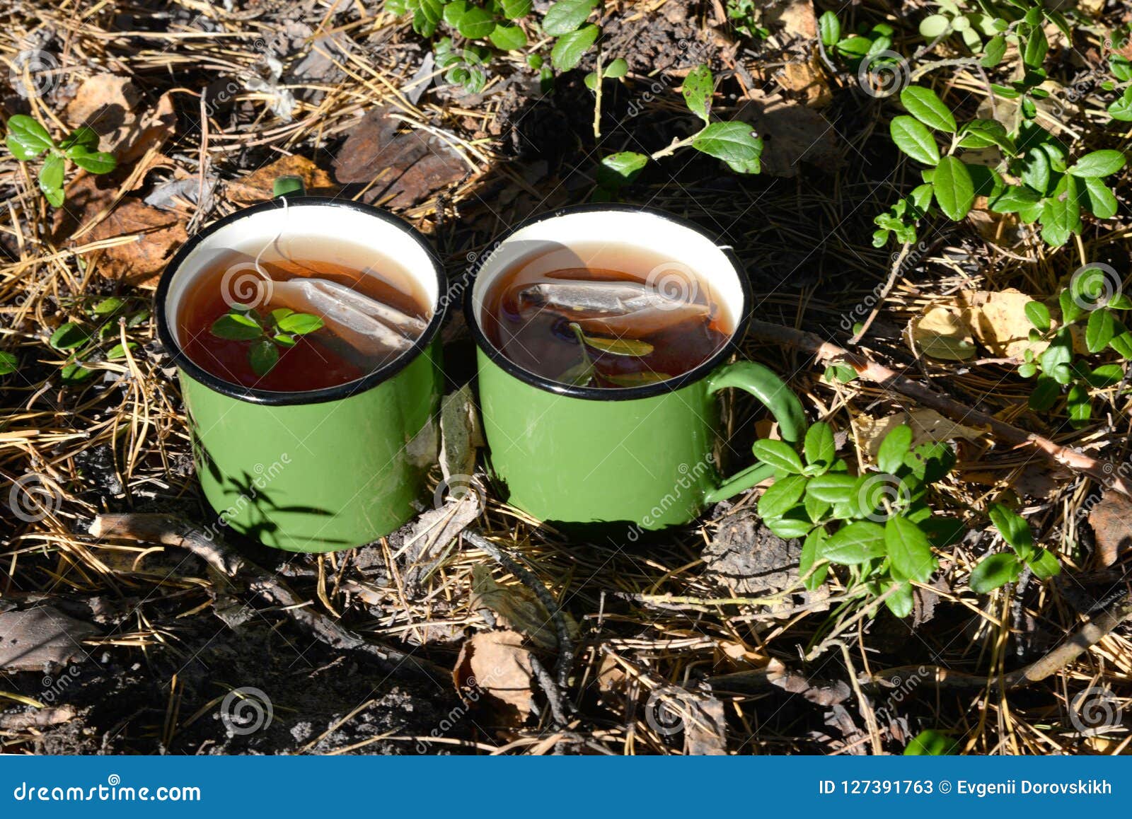 Cup of tea in the forest stock image. Image of hiking - 127391763