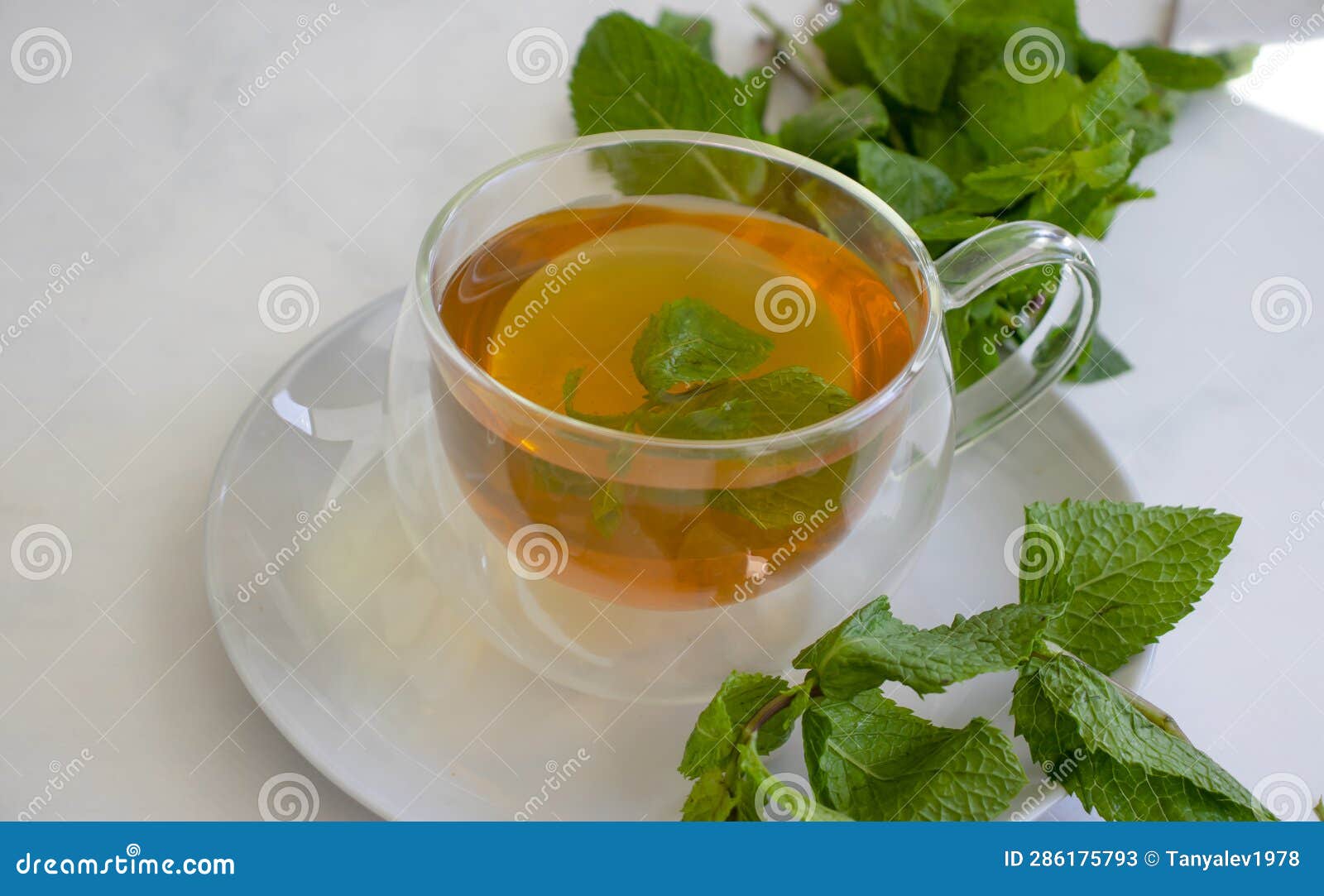 Cup of Tea with Fresh Mint Antioxidant Relaxation Stock Image - Image ...