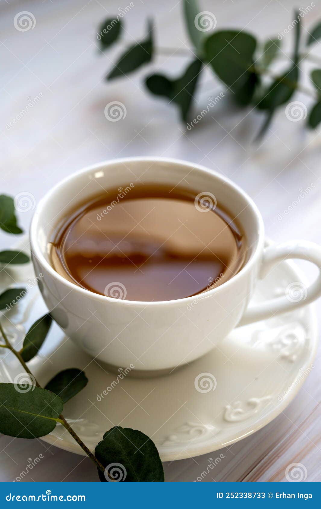 Morning Tea Cup With Eucalyptus Silver Dollar Plant Leaves On White ...