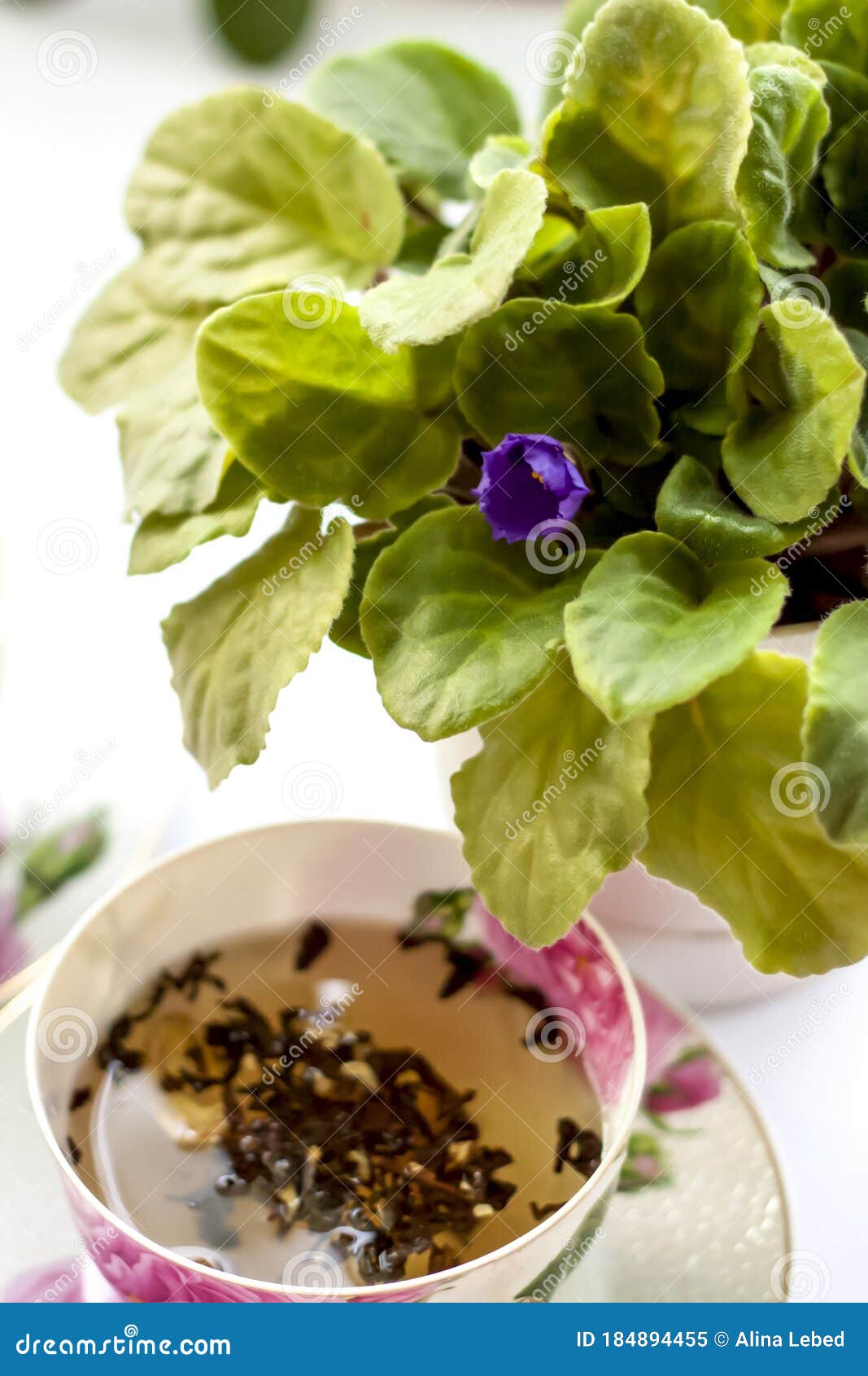 Cup of Tea. Large Tea Leaves in a Cup. a Can of Tea. Large-leaf Tea ...