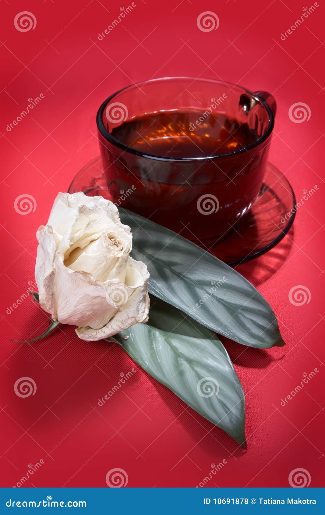 Cup of tea with leaflets stock photo. Image of objects - 10691878