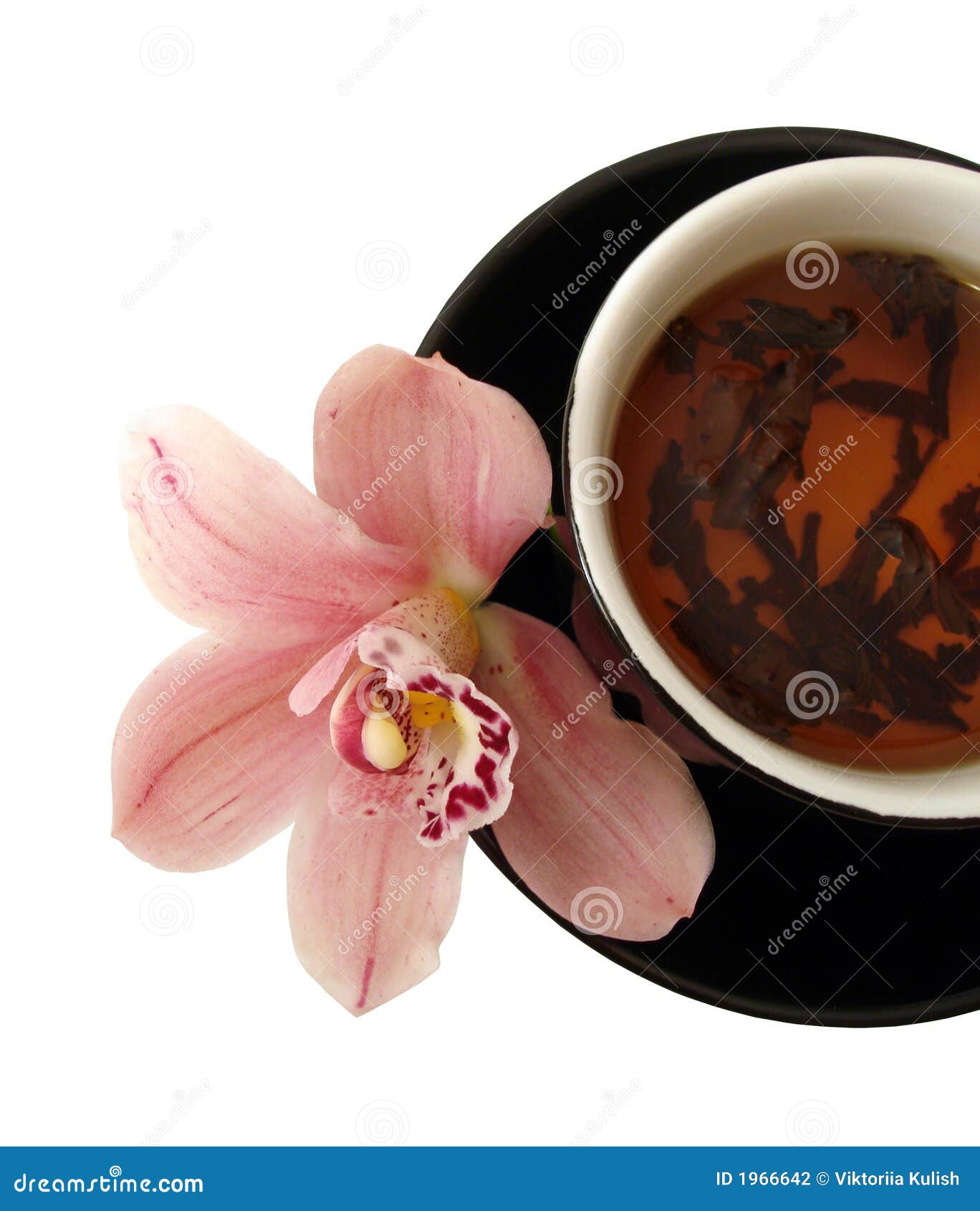 Cup of Tea with Pink Orchids on Black Plate Isolated Stock Photo ...