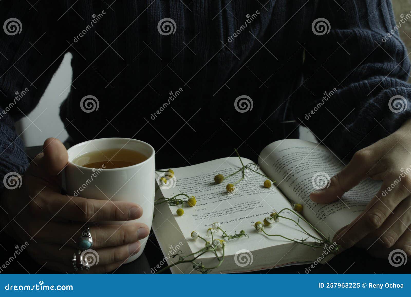 Cup of Tea and Reading a Book Stock Image - Image of history, book ...