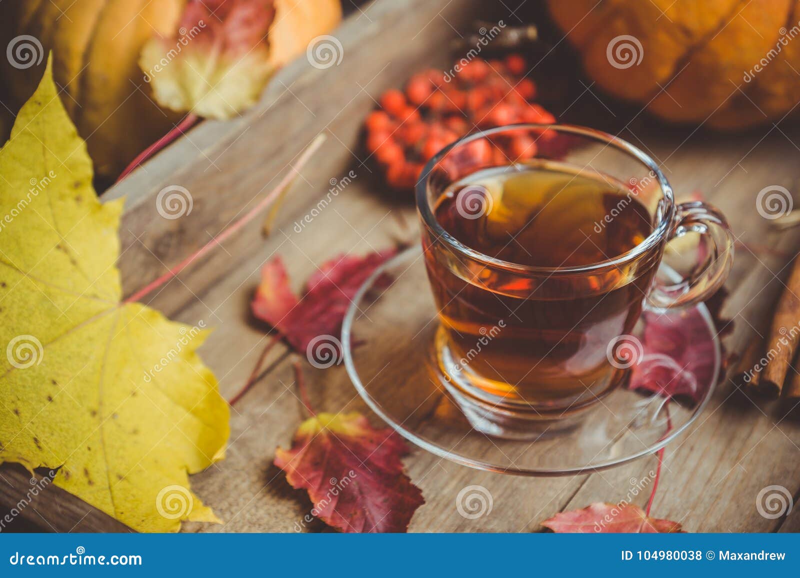 Cup of Tea on the Rustic Background with Autumn Decoration Stock Photo ...