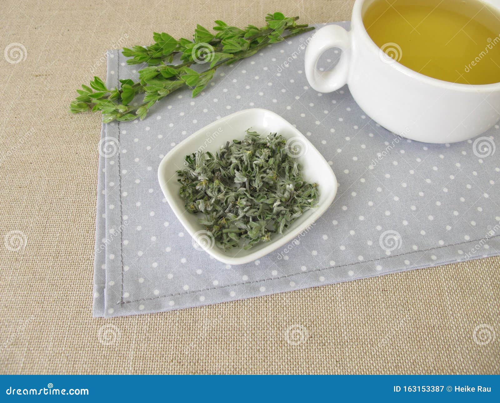 Tea with scotch broom stock image. Image of flower, plant - 163153387