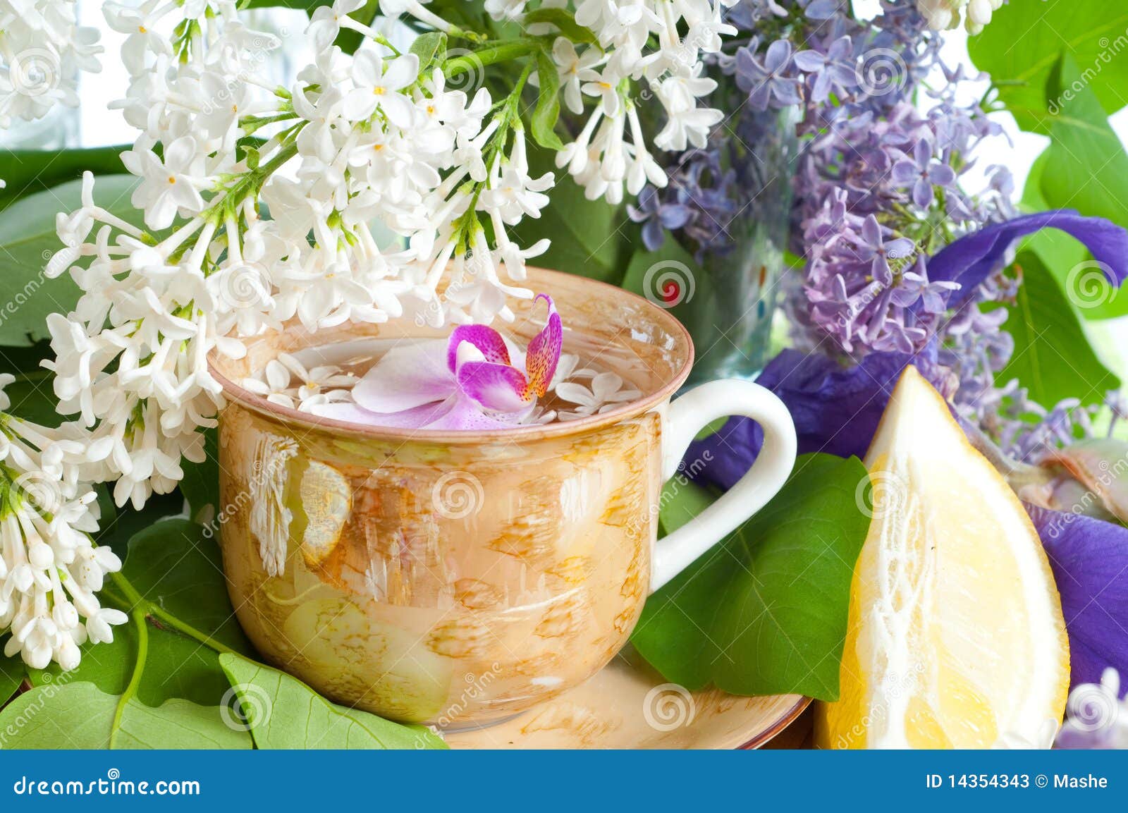Cup of Tea and Spring Branch Stock Image - Image of aromatherapy ...