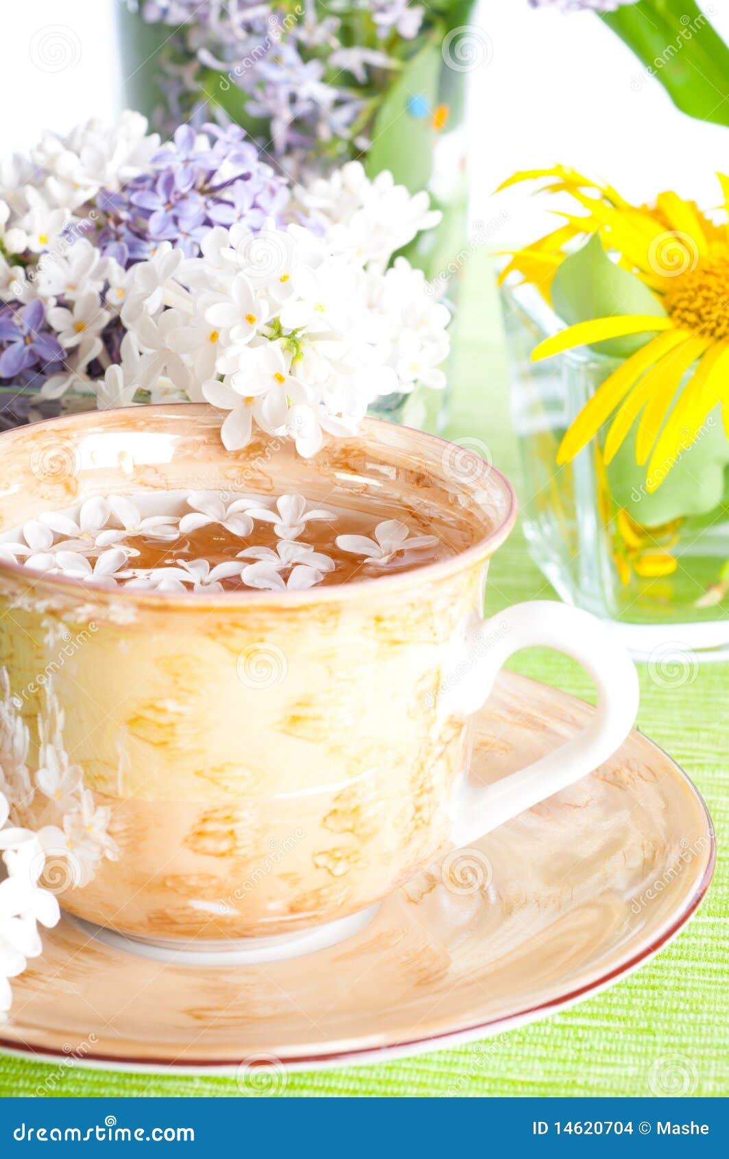 Cup of Tea and Spring Branch Stock Photo - Image of beverage, plant ...