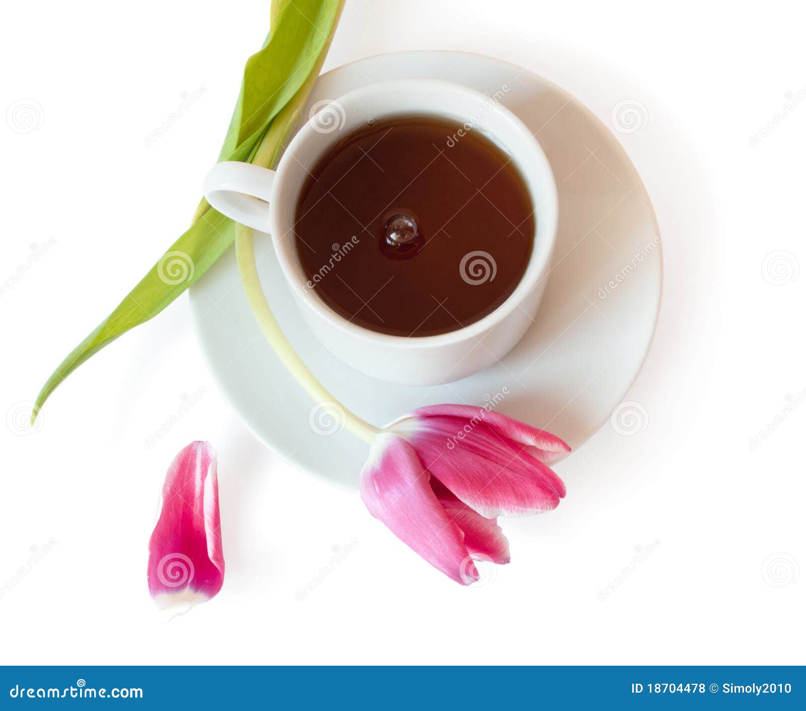 Cup of tea and tulip stock photo. Image of nature, beautiful - 18704478