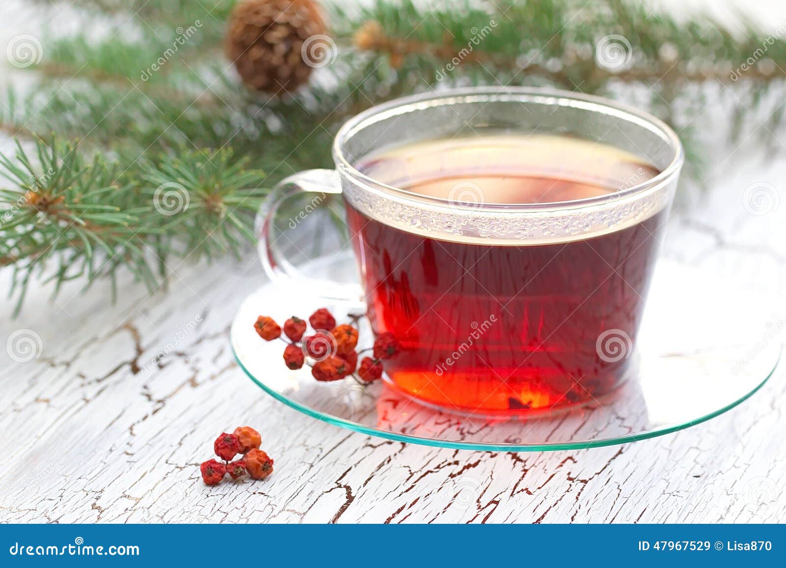Cup of tea in winter stock image. Image of natural, branch - 47967529