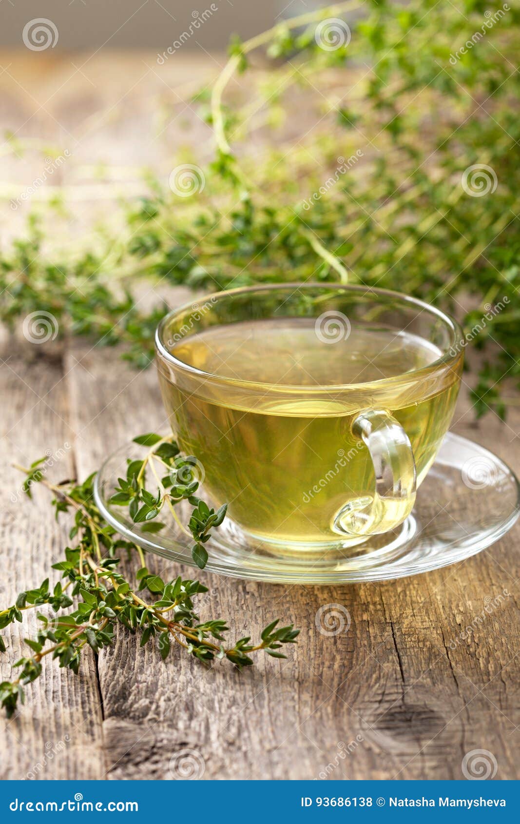 Cup of thyme tea stock photo. Image of thymus, refreshment - 93686138