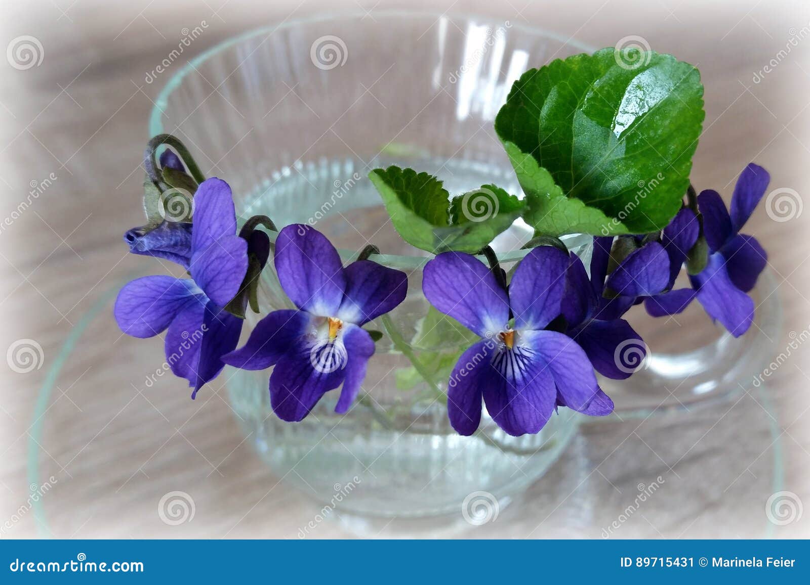 Cup of violets stock image. Image of yellow, purple, violets - 89715431