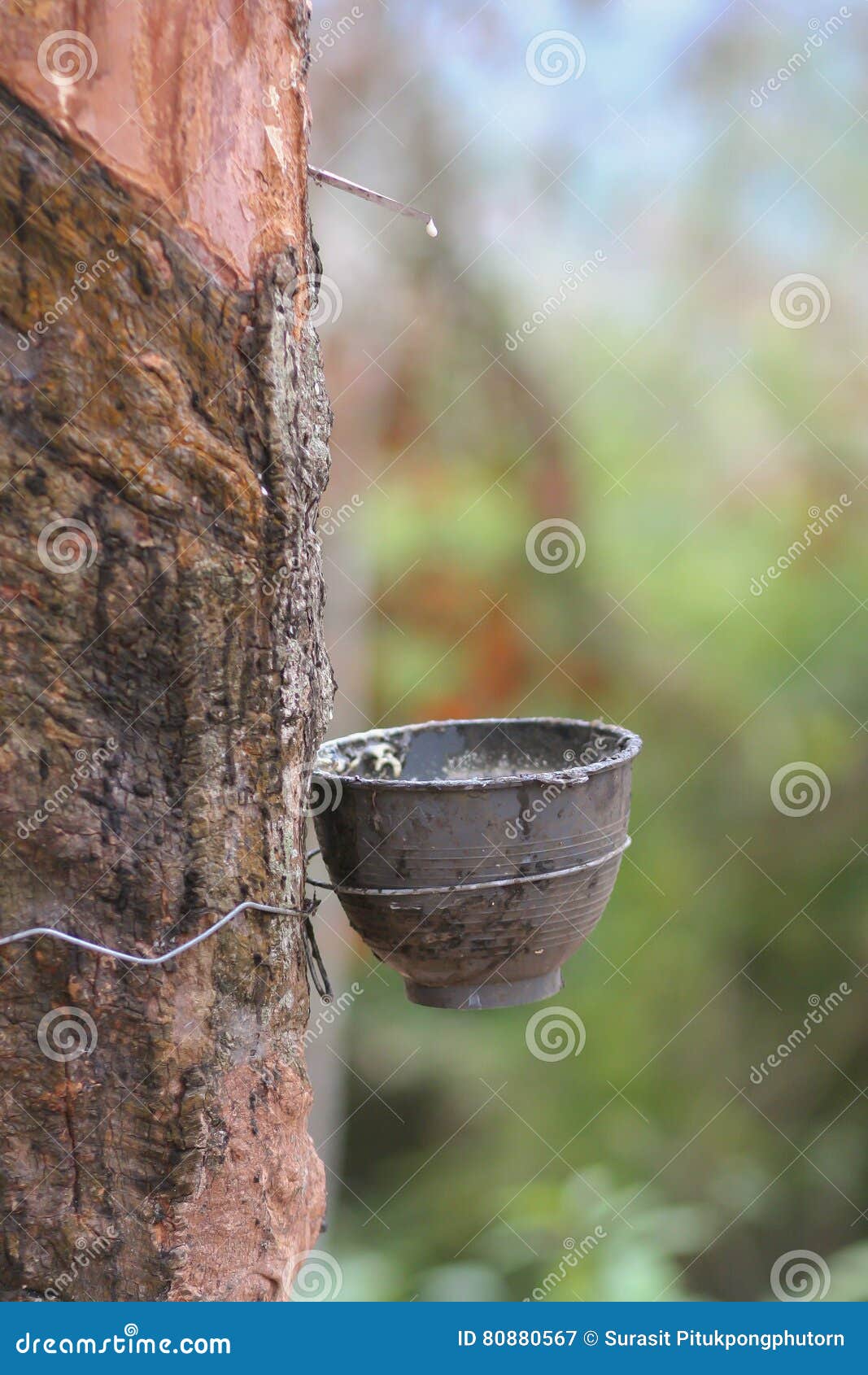 Water Drop Vice Stock Photos - Free & Royalty-Free Stock Photos from ...