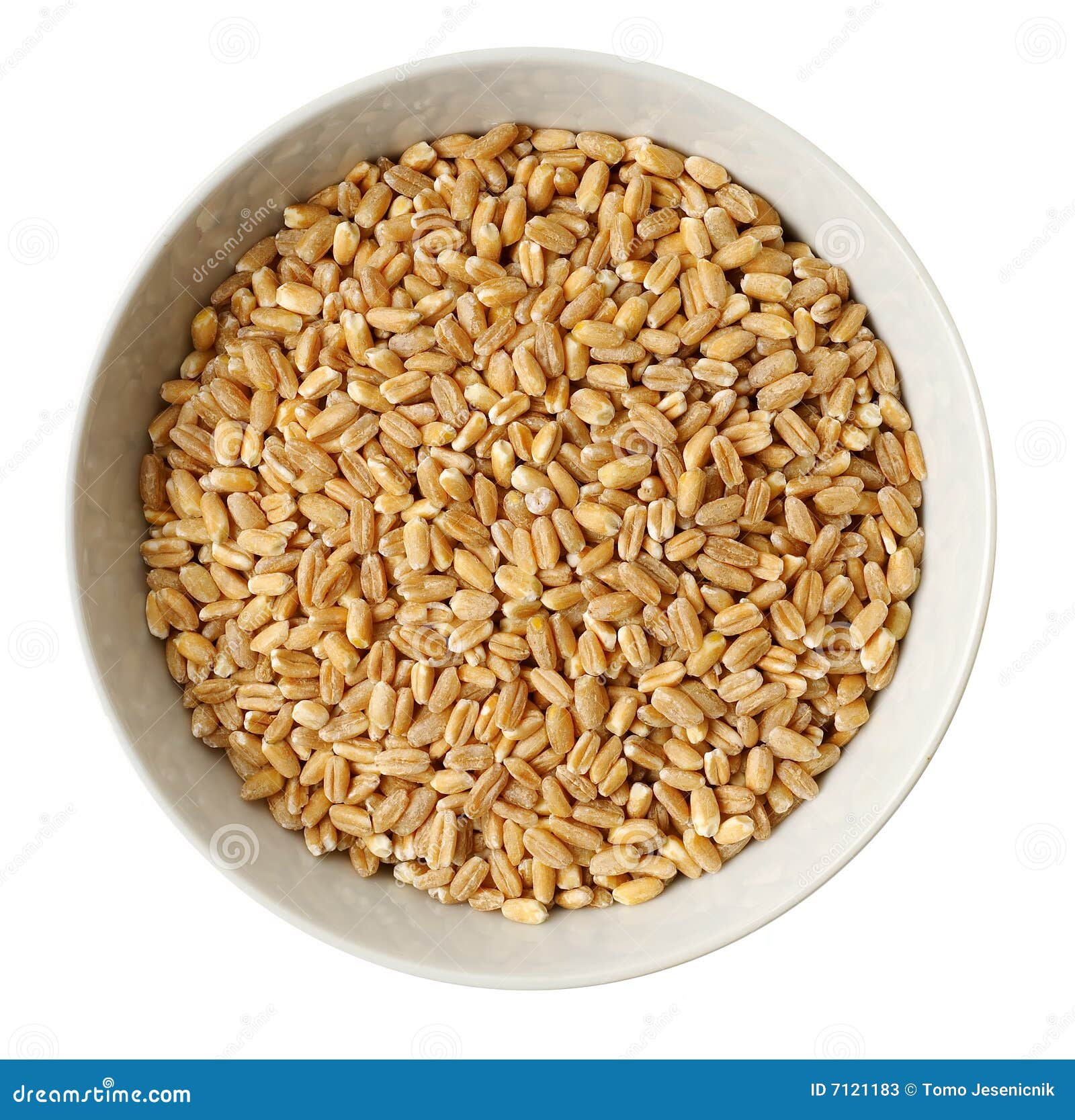 Cup of wheat stock image. Image of wheat, seed, macro - 7121183