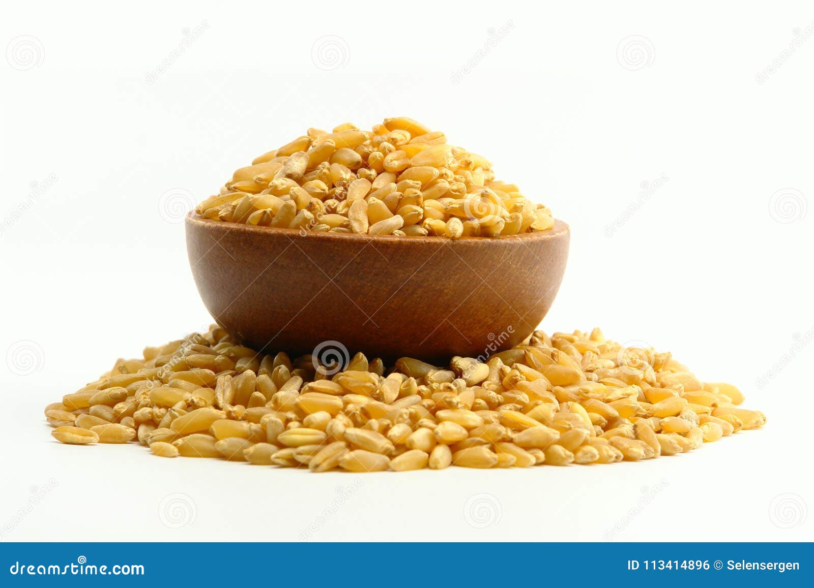 A cup of wheat stock photo. Image of single, wood, agriculture - 113414896
