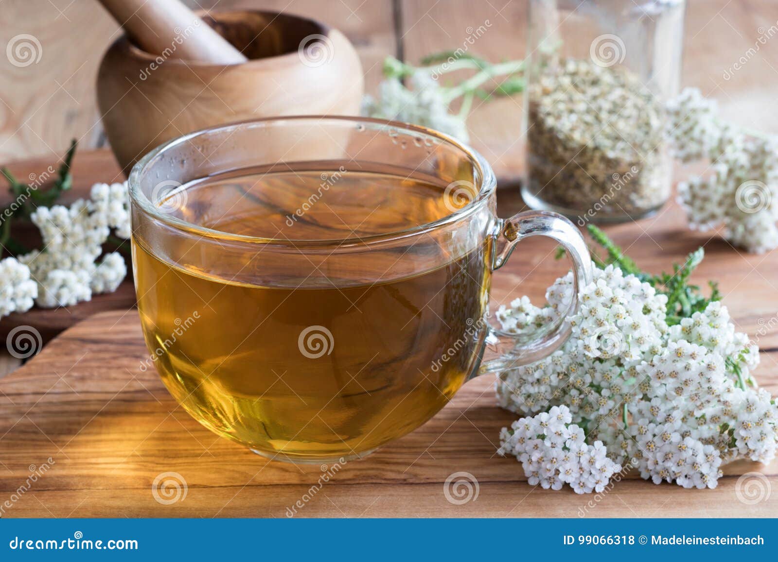 A Cup of Yarrow Tea with Fresh Yarrow Flowers Stock Photo - Image of ...