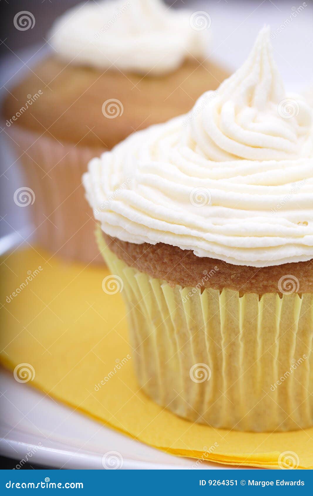 Cupcake stock image. Image of frosting, baked, cupcake - 9264351