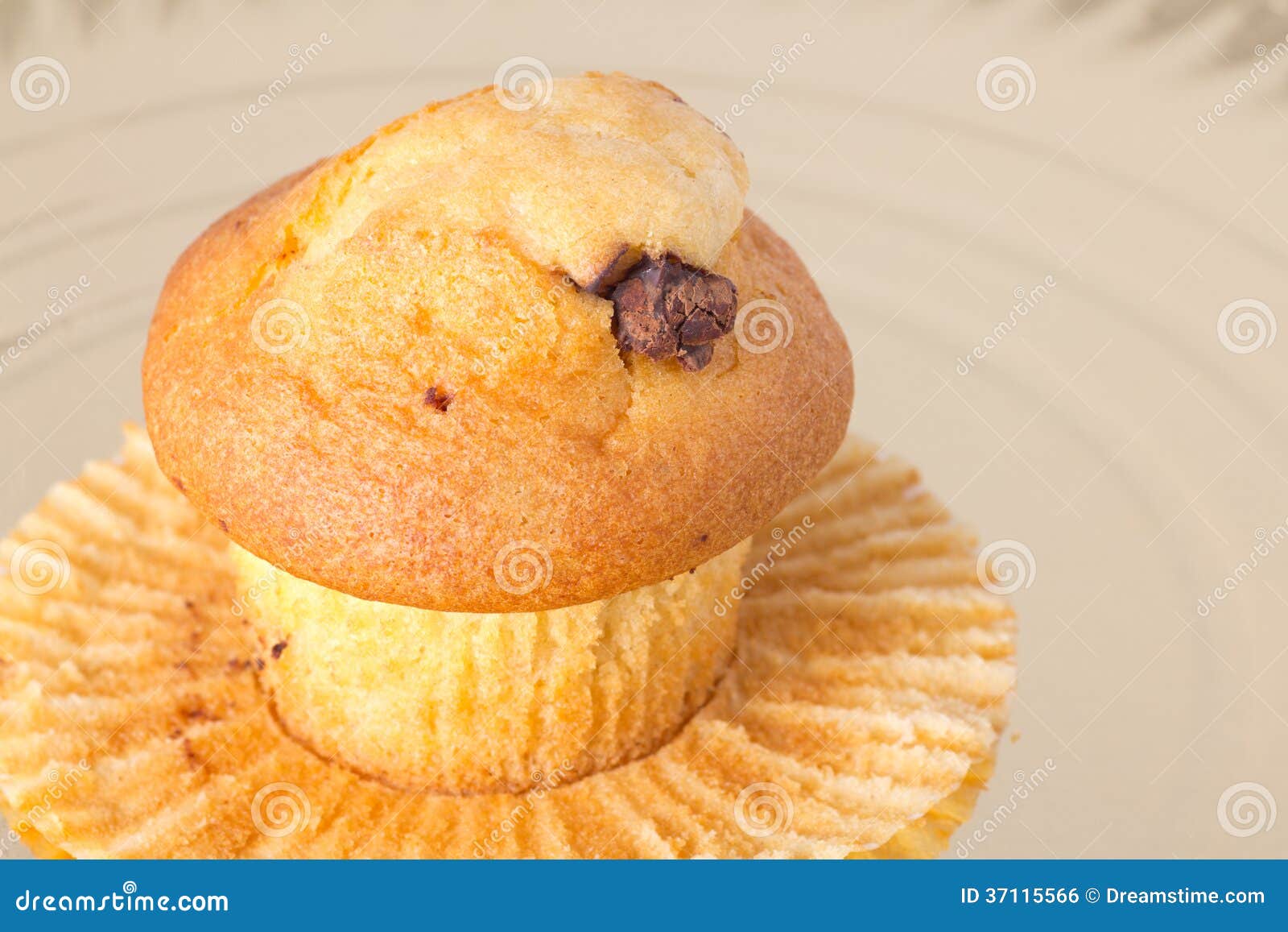 Cupcake stock photo. Image of cupcake, chocolate, bufe - 37115566