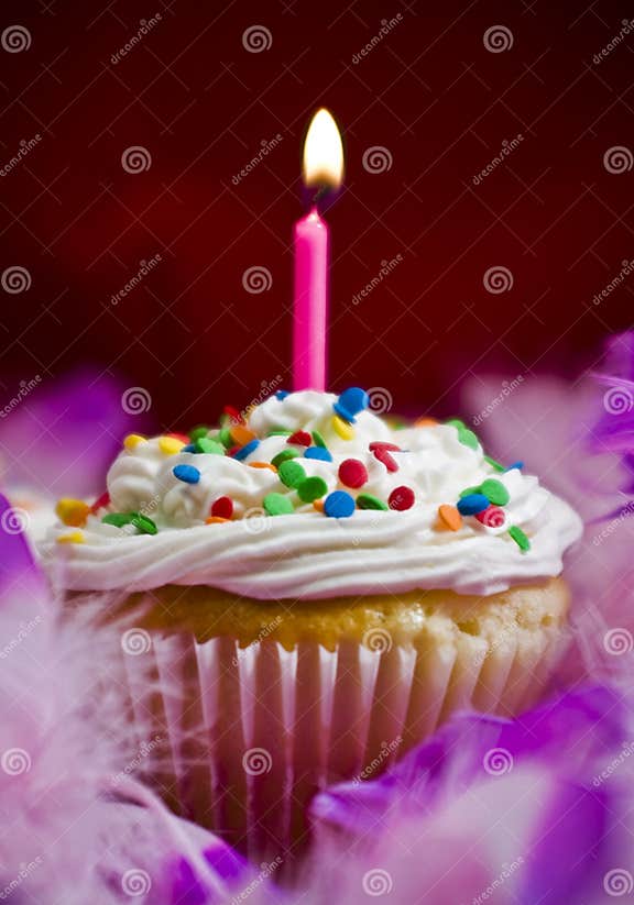 Cupcake with lite candle stock photo. Image of celebration - 7110764